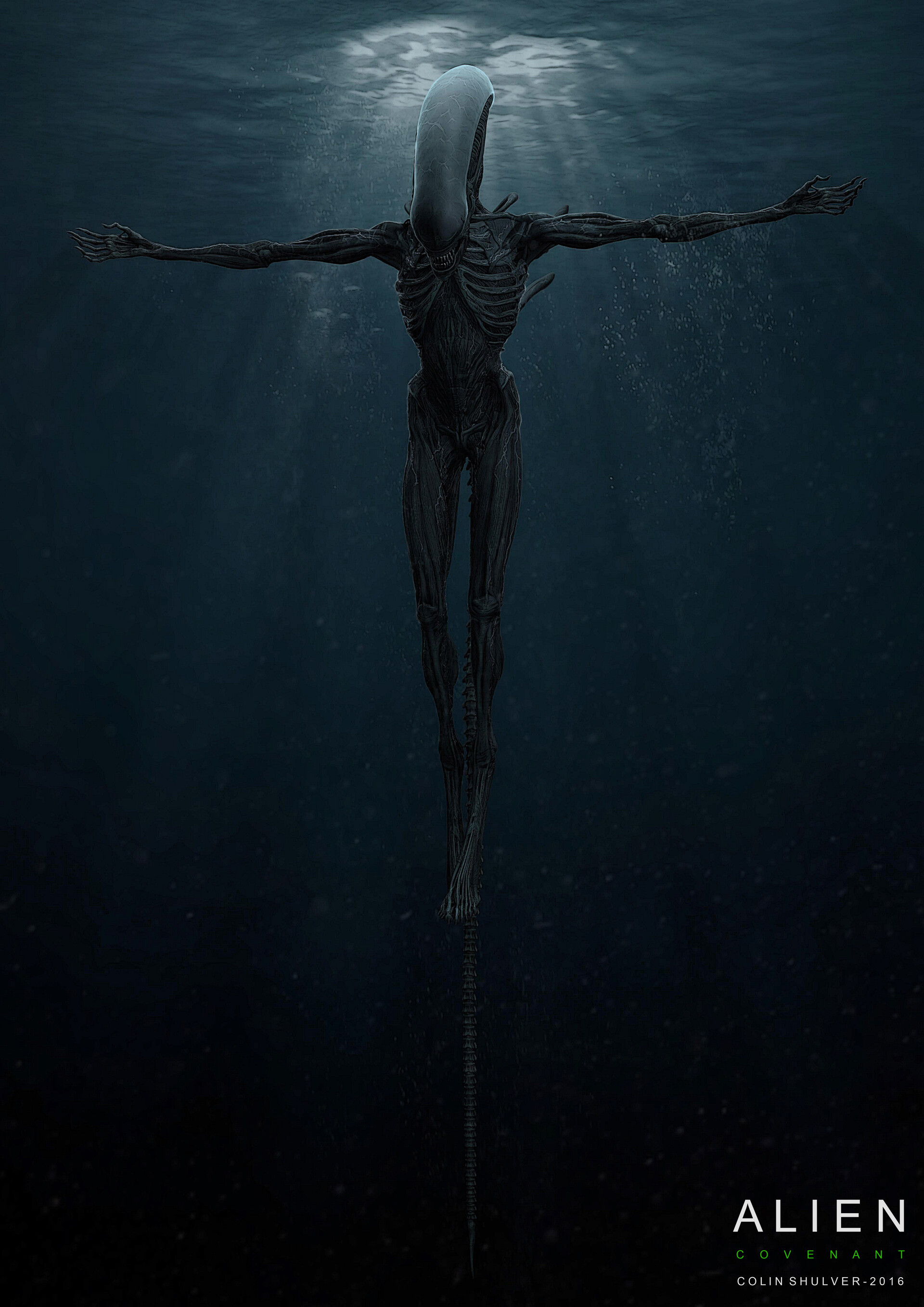 COLIN SHULVER - Alien Covenant