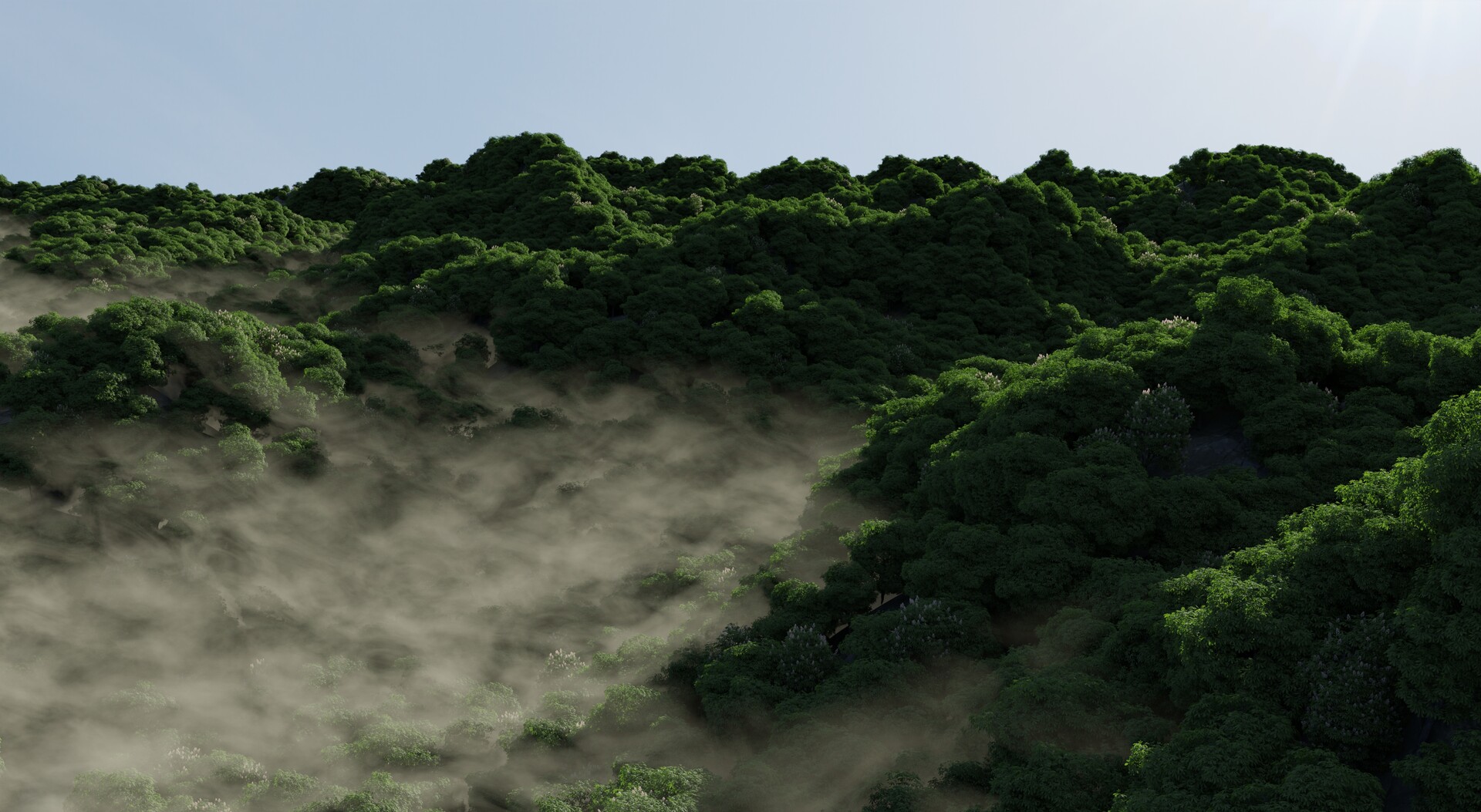 Bogdan-Natanael Oliniuc - Mountain Forest Environment