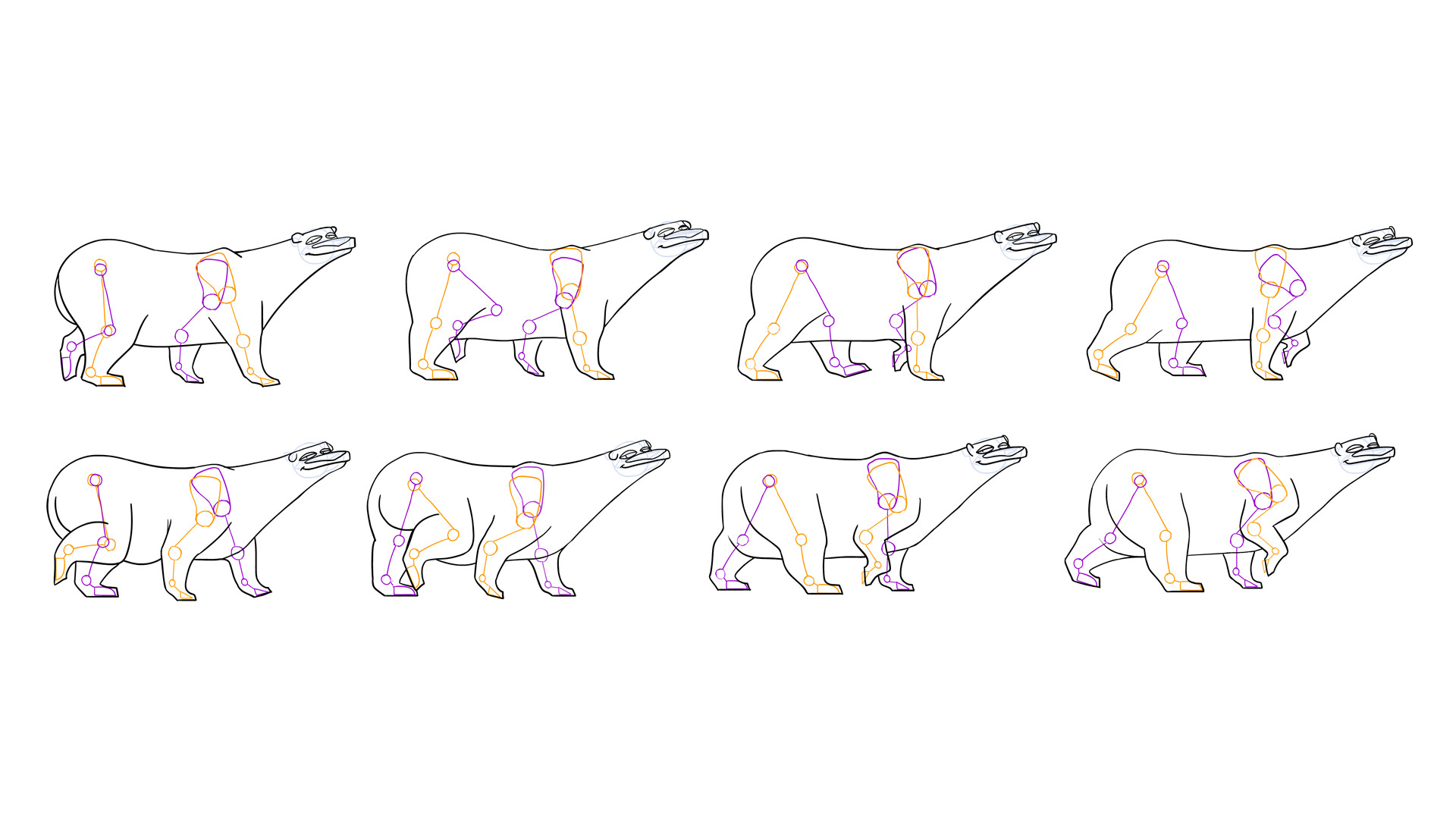 Jax Chen - Polar Bear Walk Cycle Handdrawn Animation
