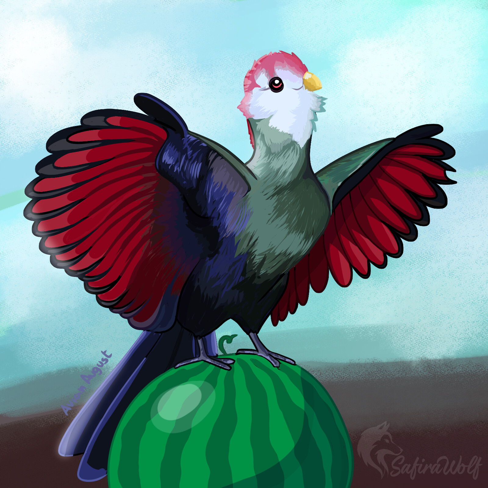 ArtStation - Red-Crested Turaco with Watermelon