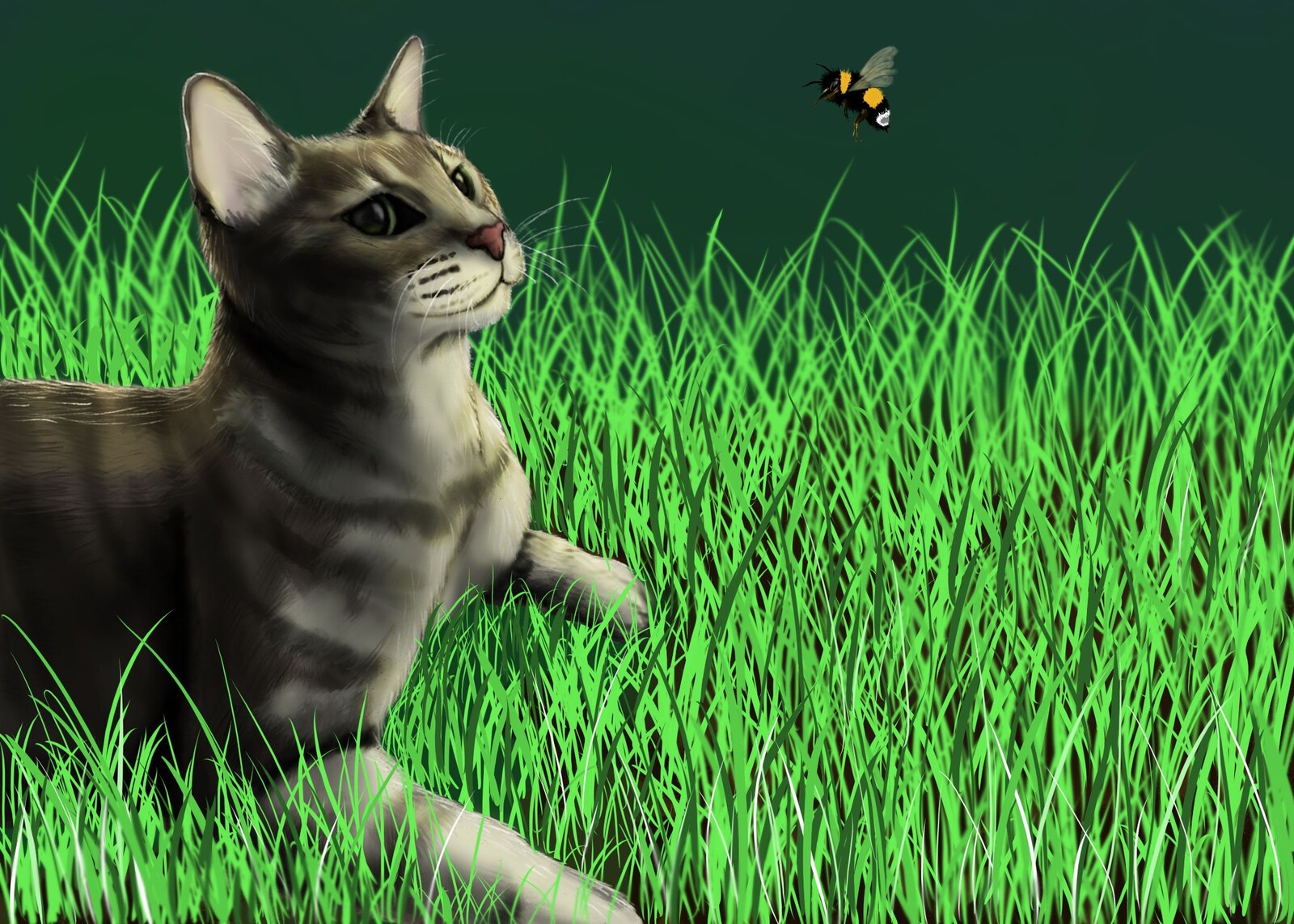 Patrick Clater - Bratcha and Bee