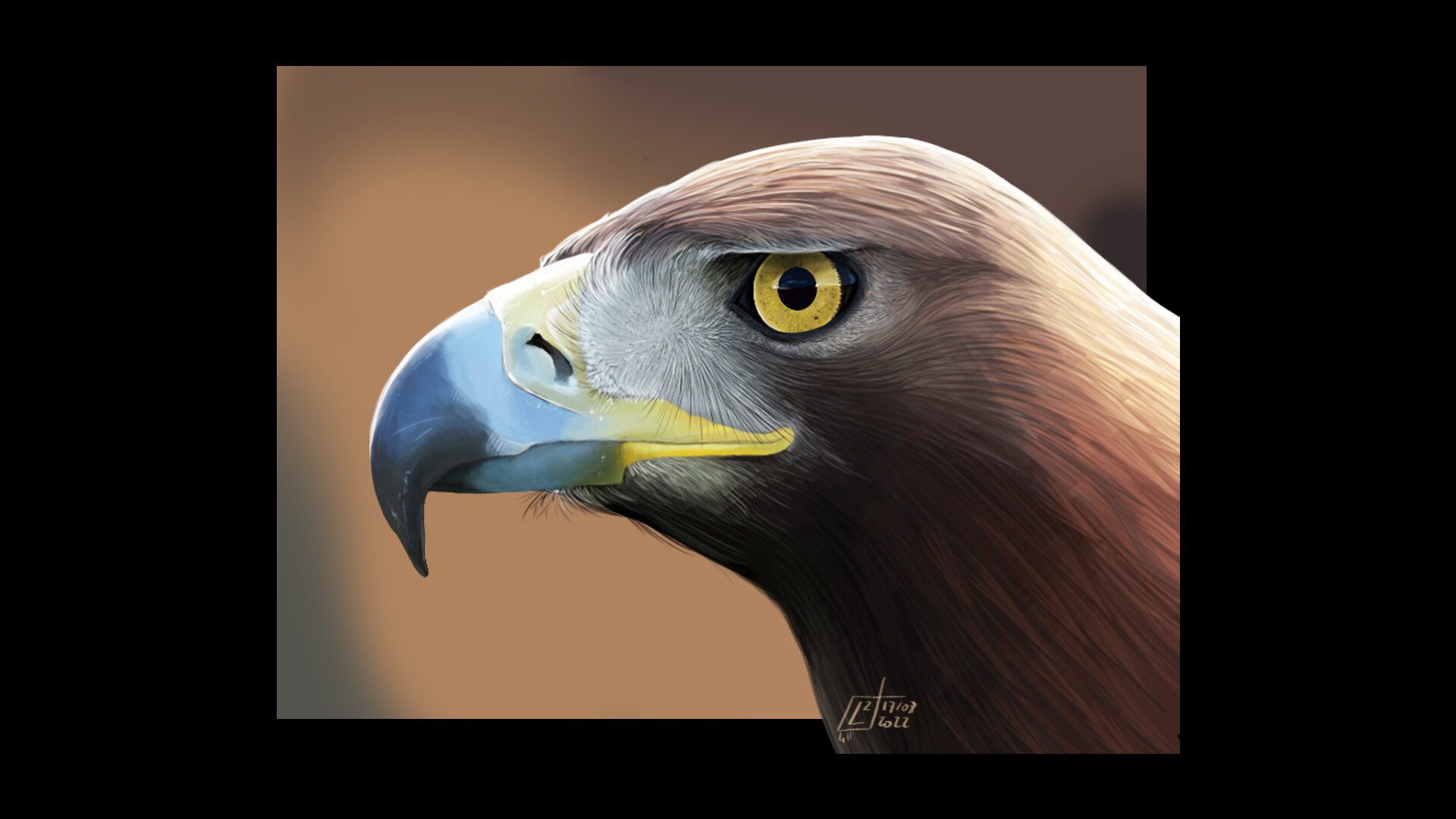 ArtStation - Eagle head Study