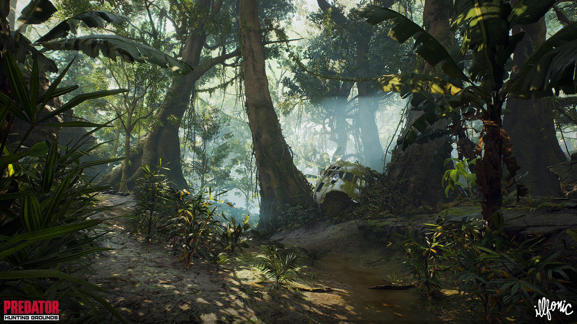 Thomas Cherry - Predator: Hunting Grounds - Environment