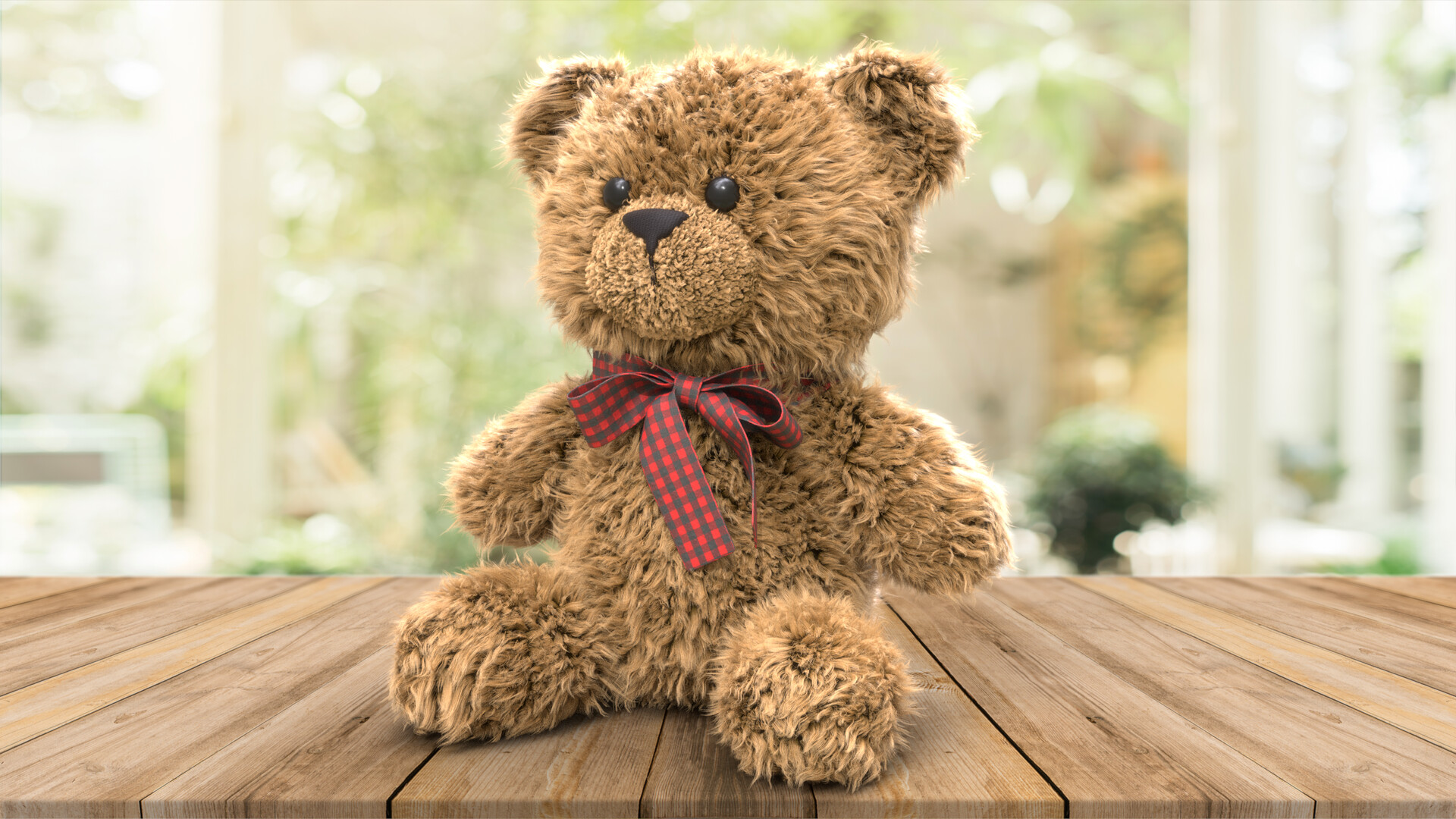 Kapil Rana - TeddyBear Groom
