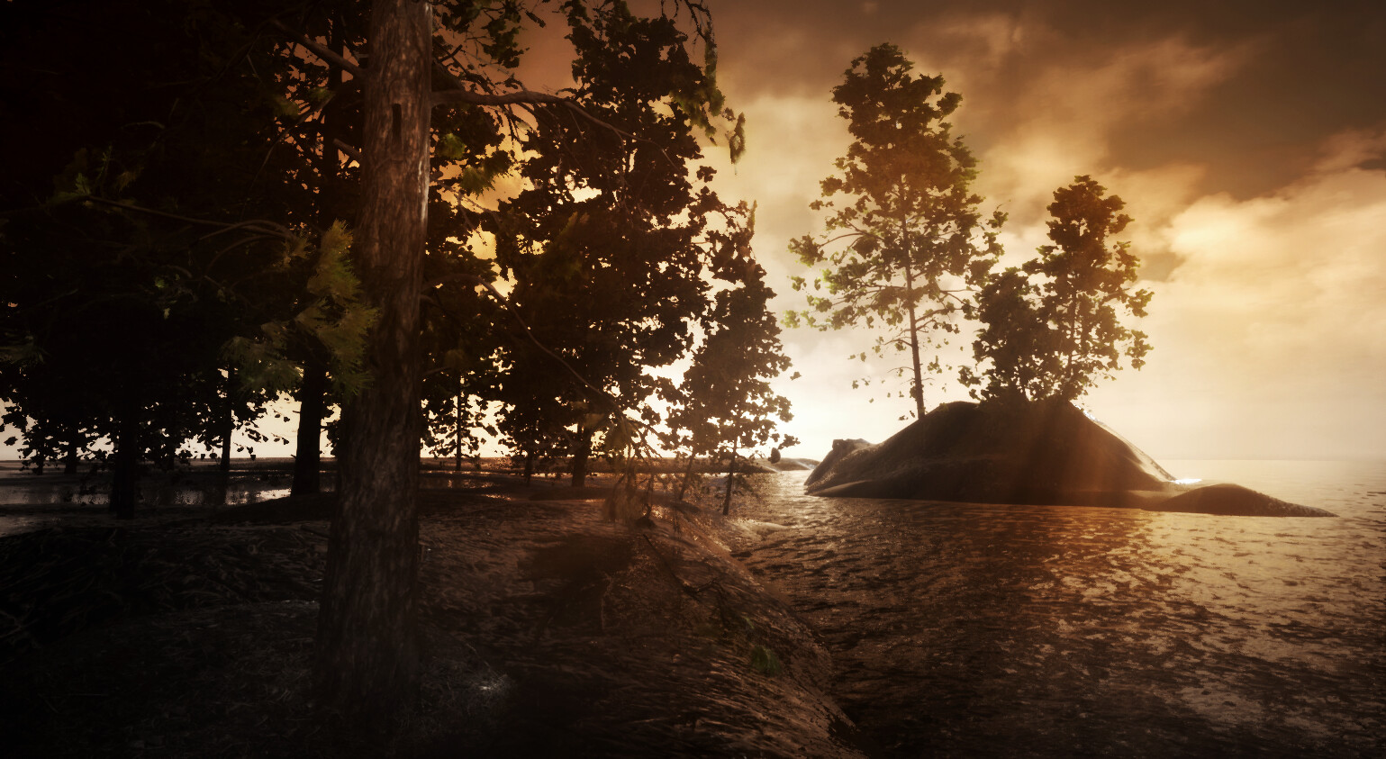 Daniel Mendiuk - Pine Tree