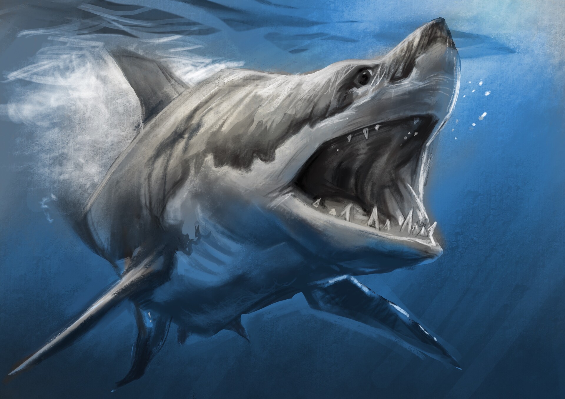 ArtStation - Shark Week 2022