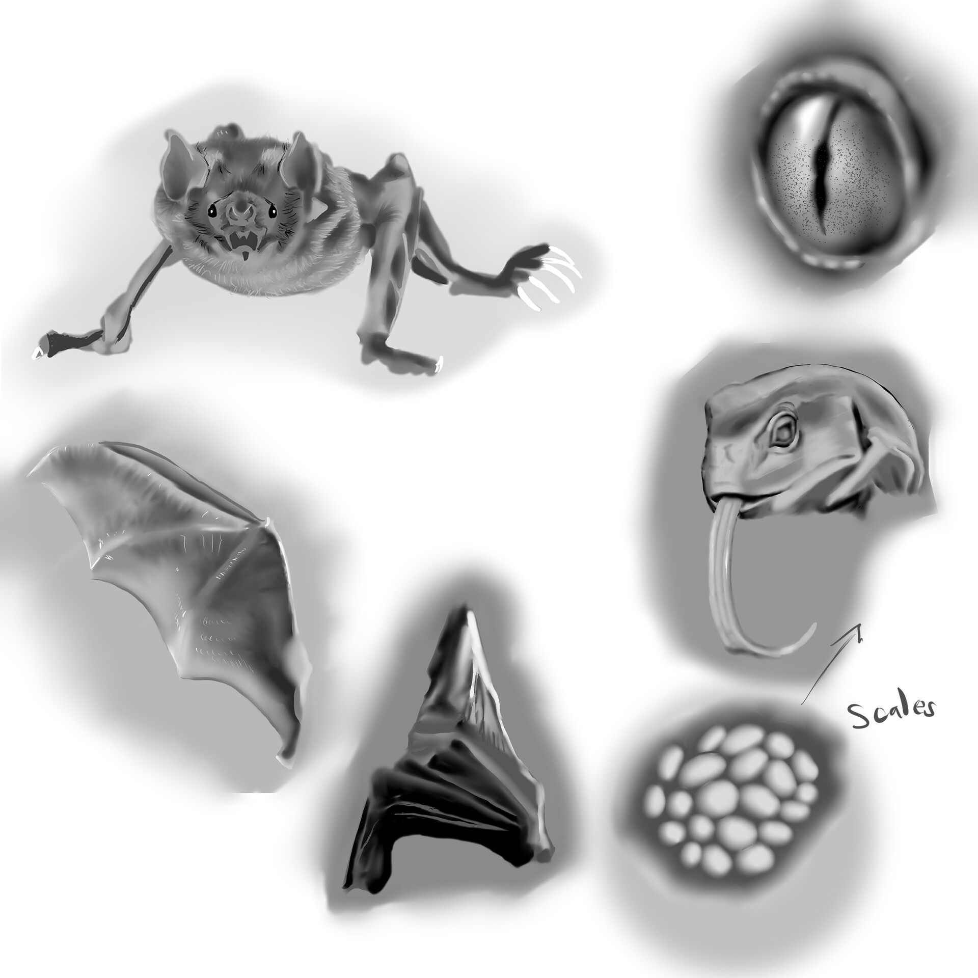 Nacahri Murphy - Chimera - Bat/Lizard Design