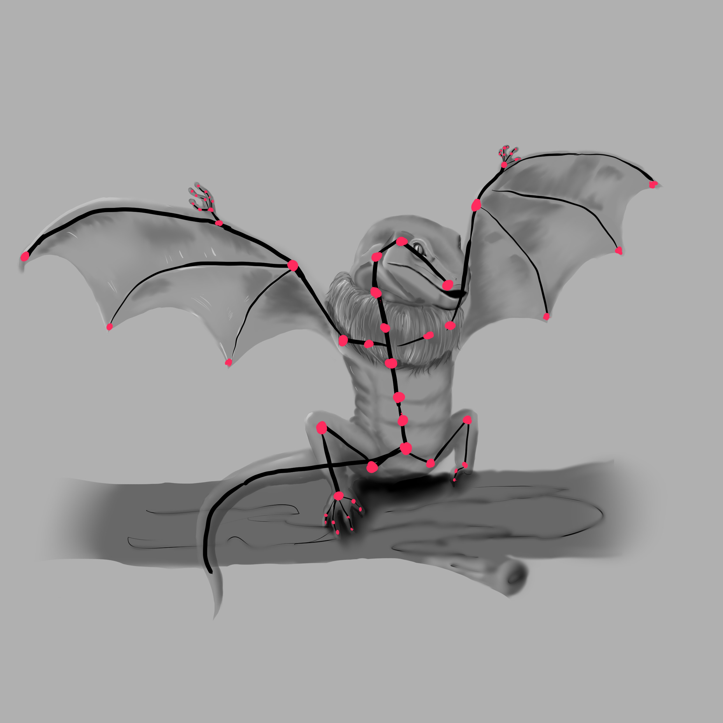 Nacahri Murphy - Chimera - Bat/Lizard Design