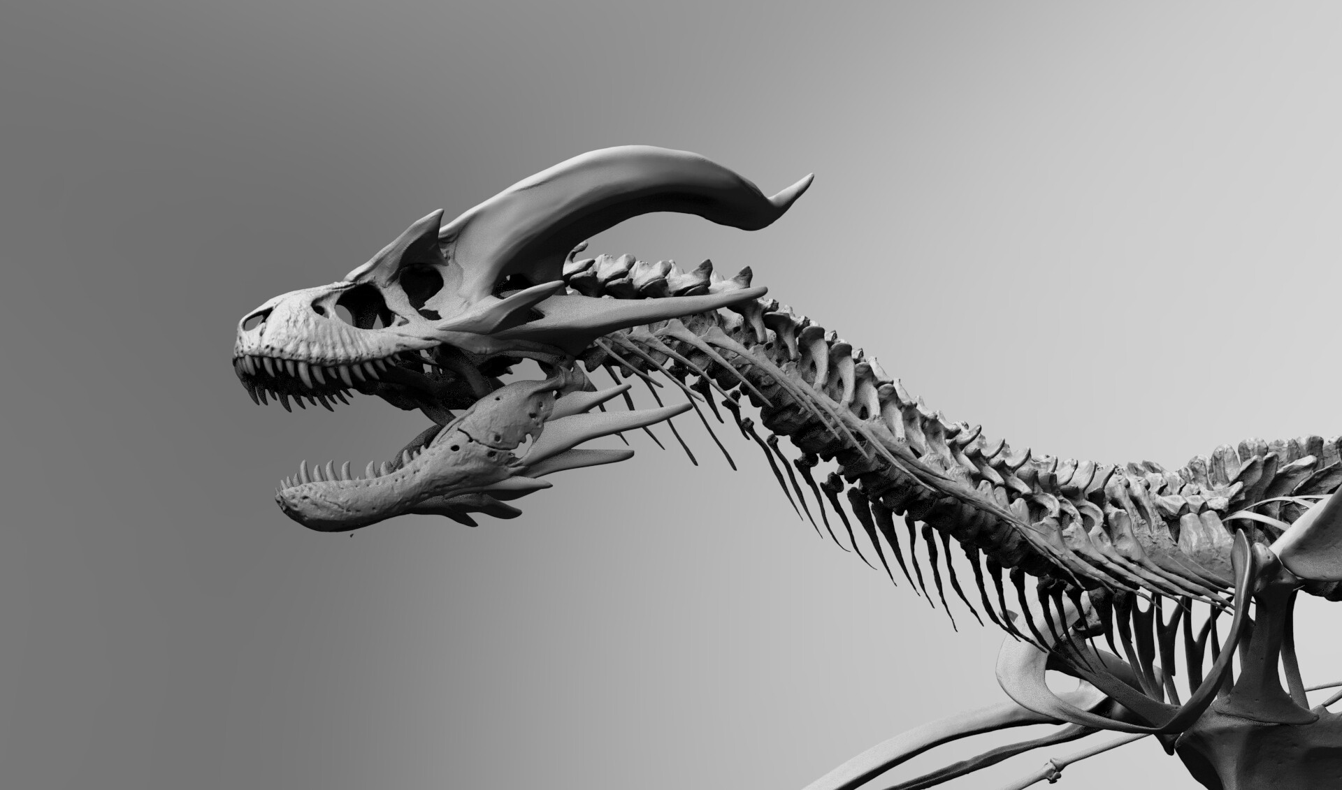 ArtStation - 飞龙骨骼 未完成 dragon skeleton wip