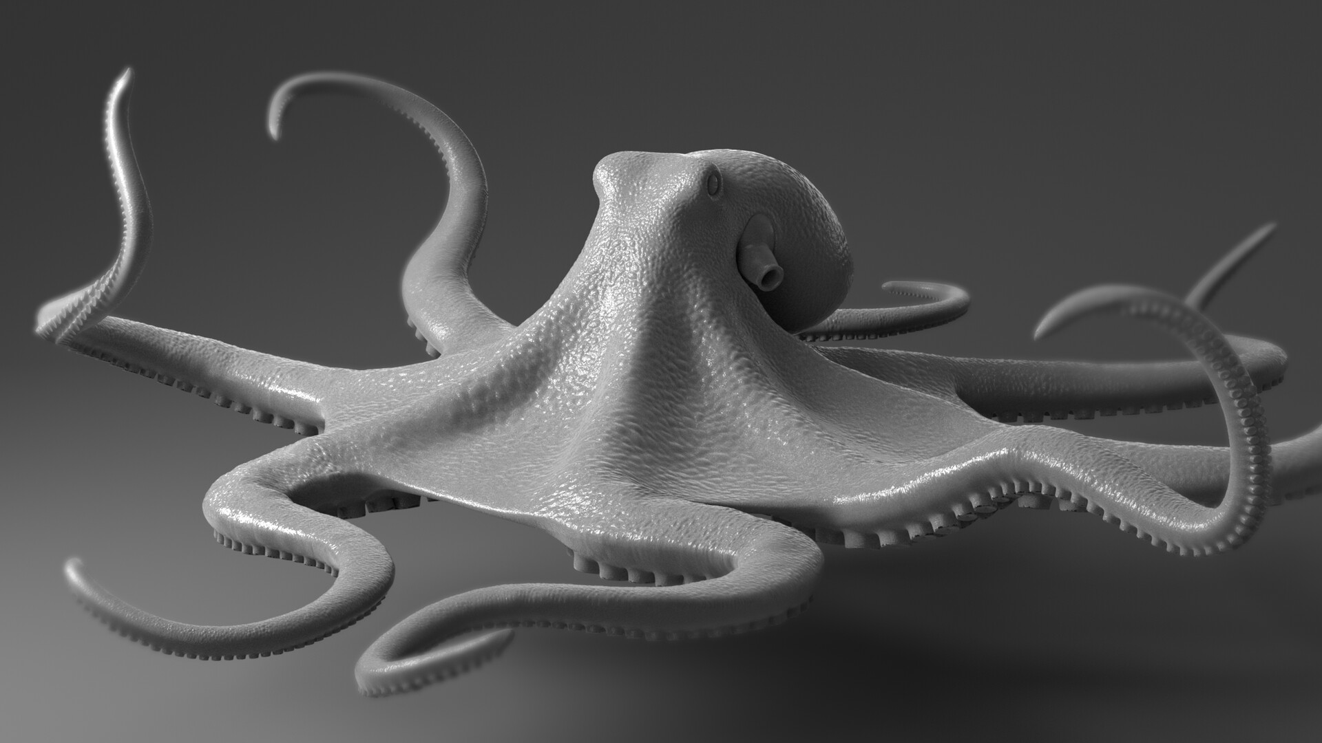 ArtStation - octopus 3d modeling