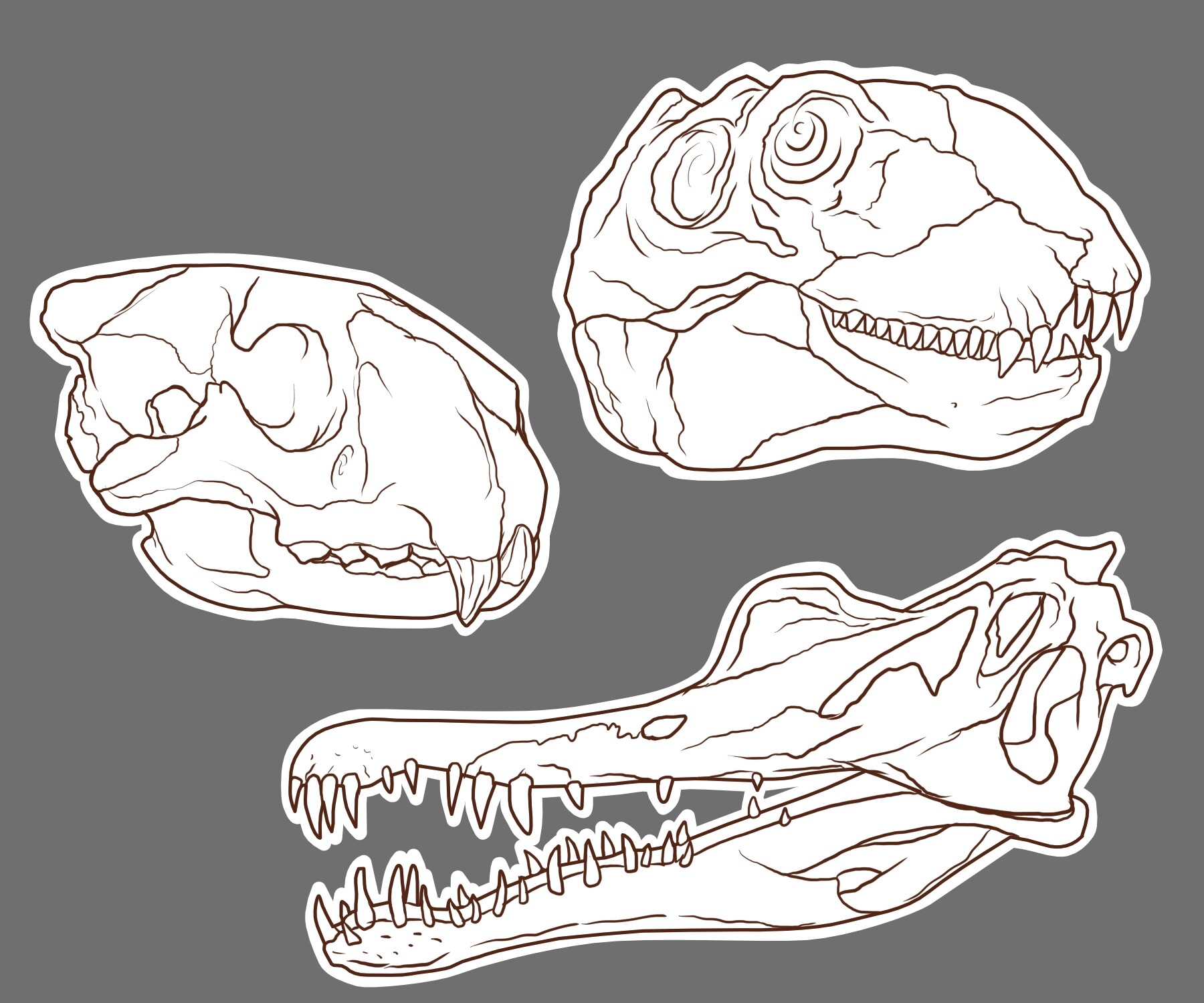 dinosaur skull drawing reference