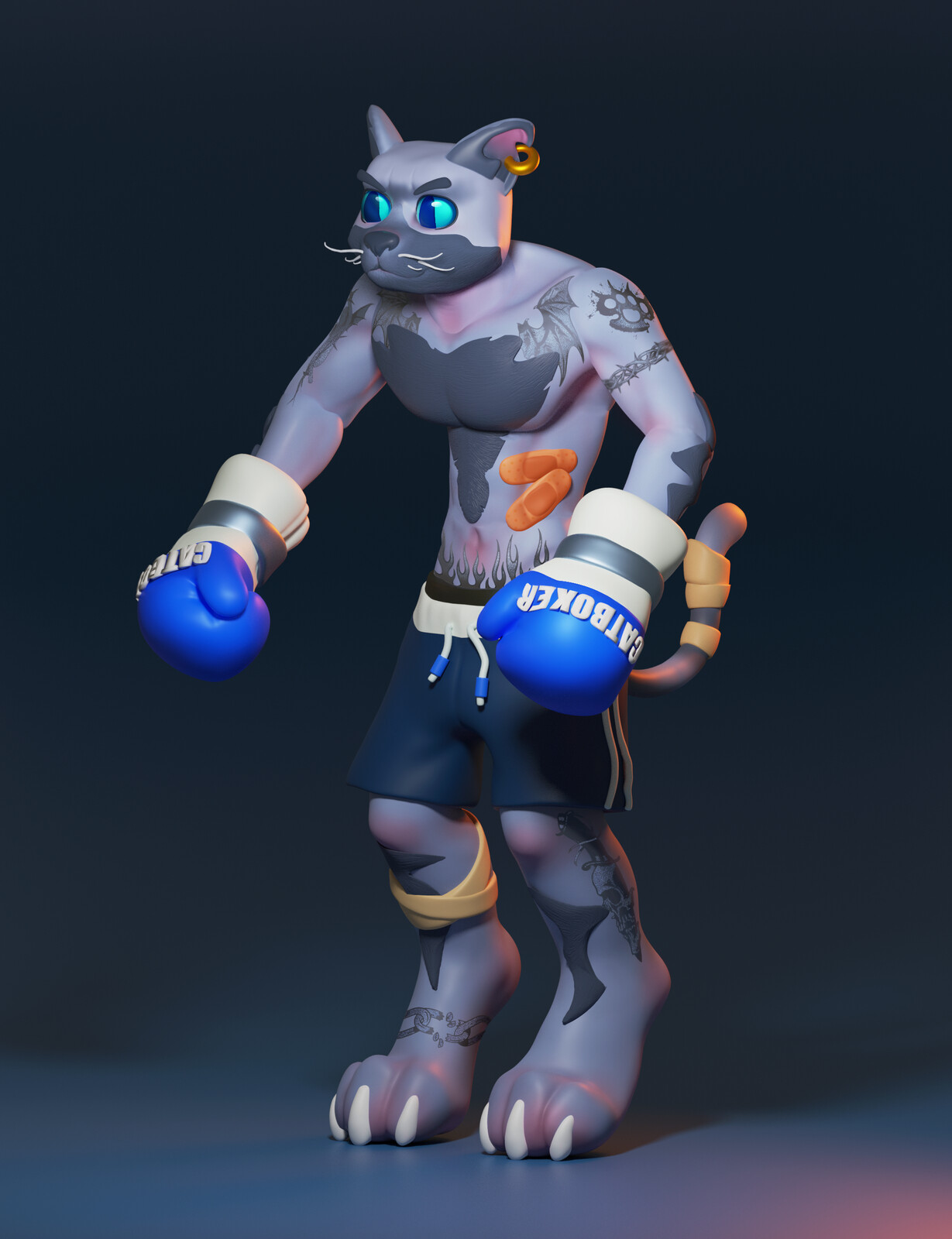 NEALWOWO - boxer cat