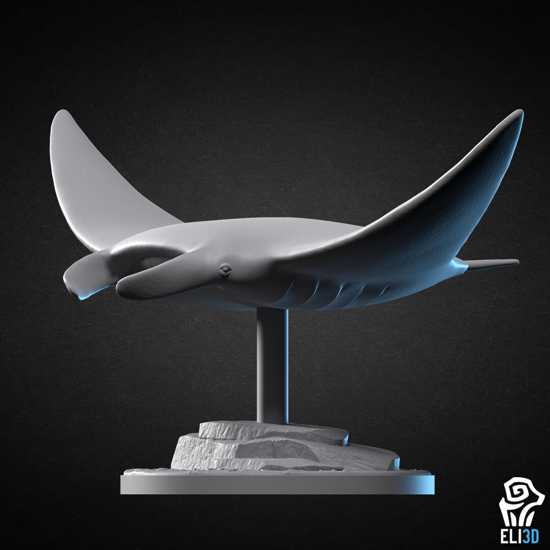 eli3D - Manta Ray
