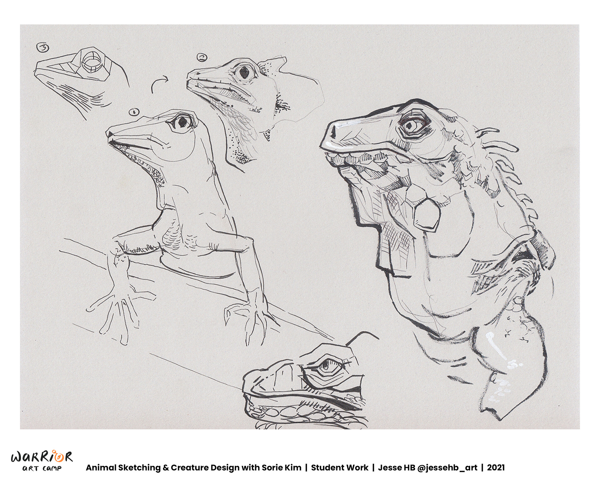 Warrior Art Camp - Jesse HB | Animal Sketching & Creature Design with ...