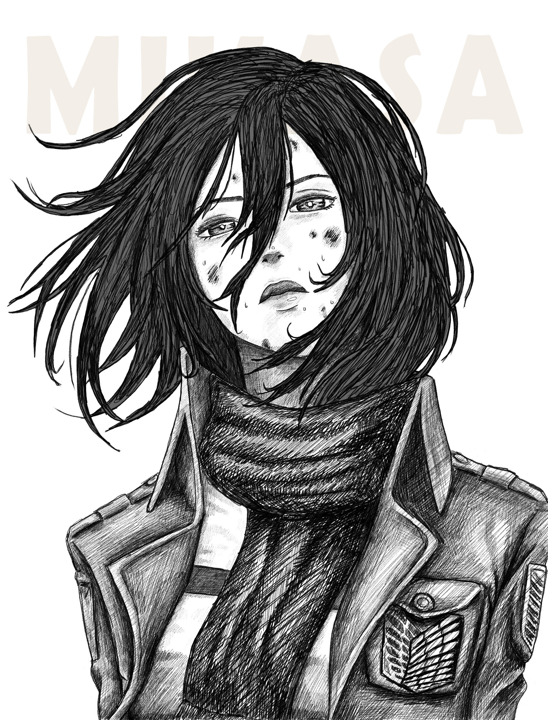 mikasa drawing reference