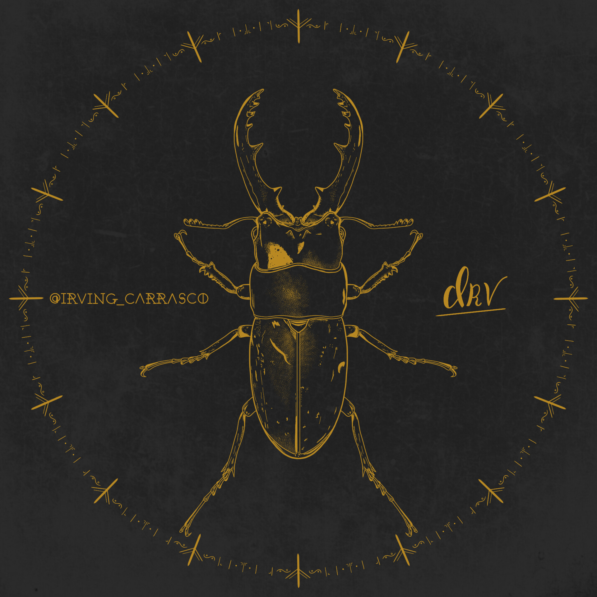 ArtStation - Golden beetle