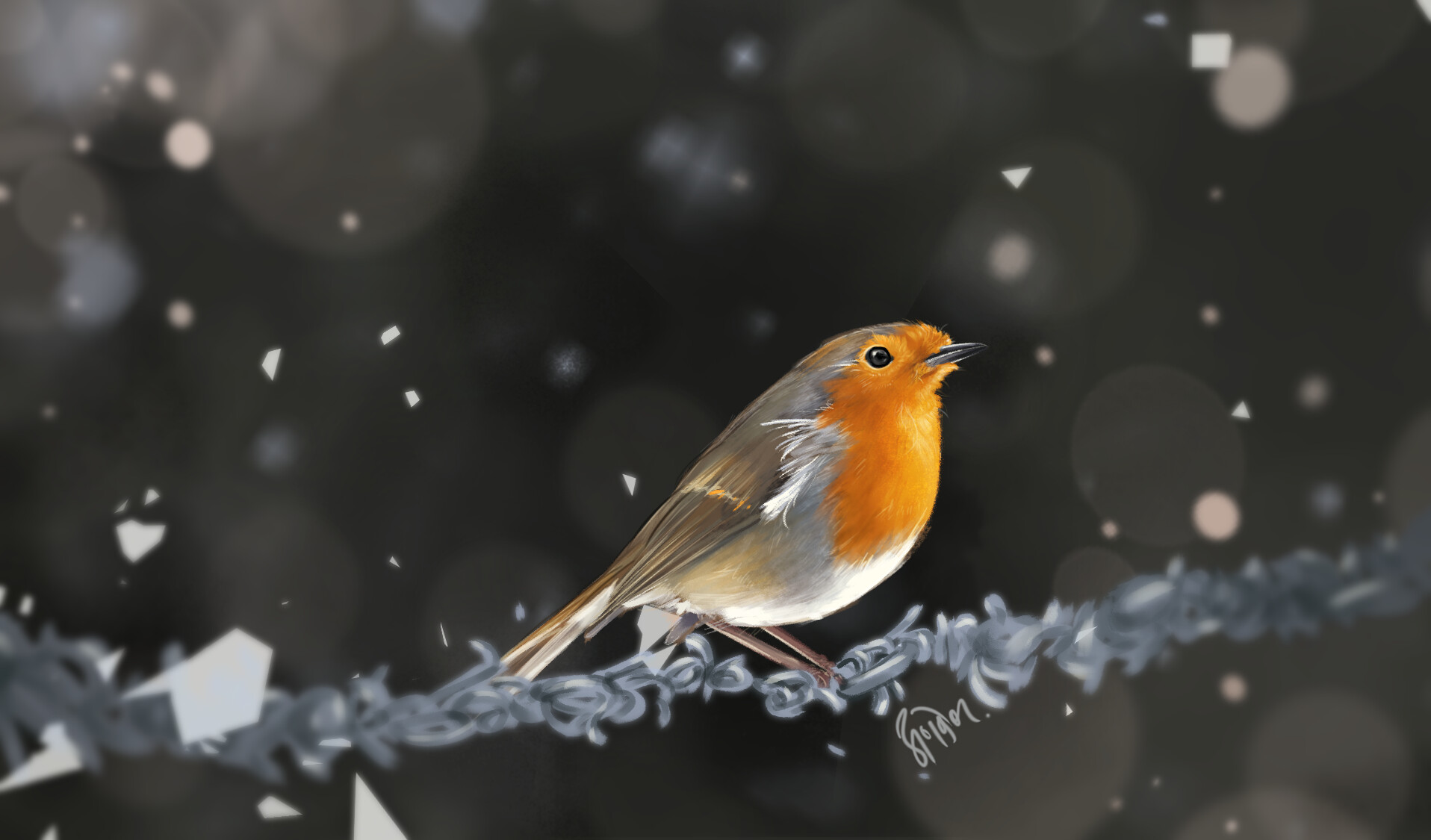 ArtStation - American robin Birds
