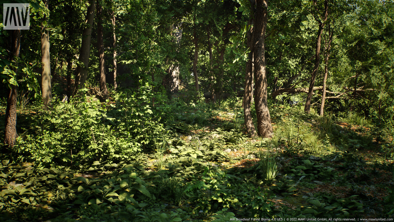 MAWI United - UE5 Broadleaf Forest V4 Runtime Demo