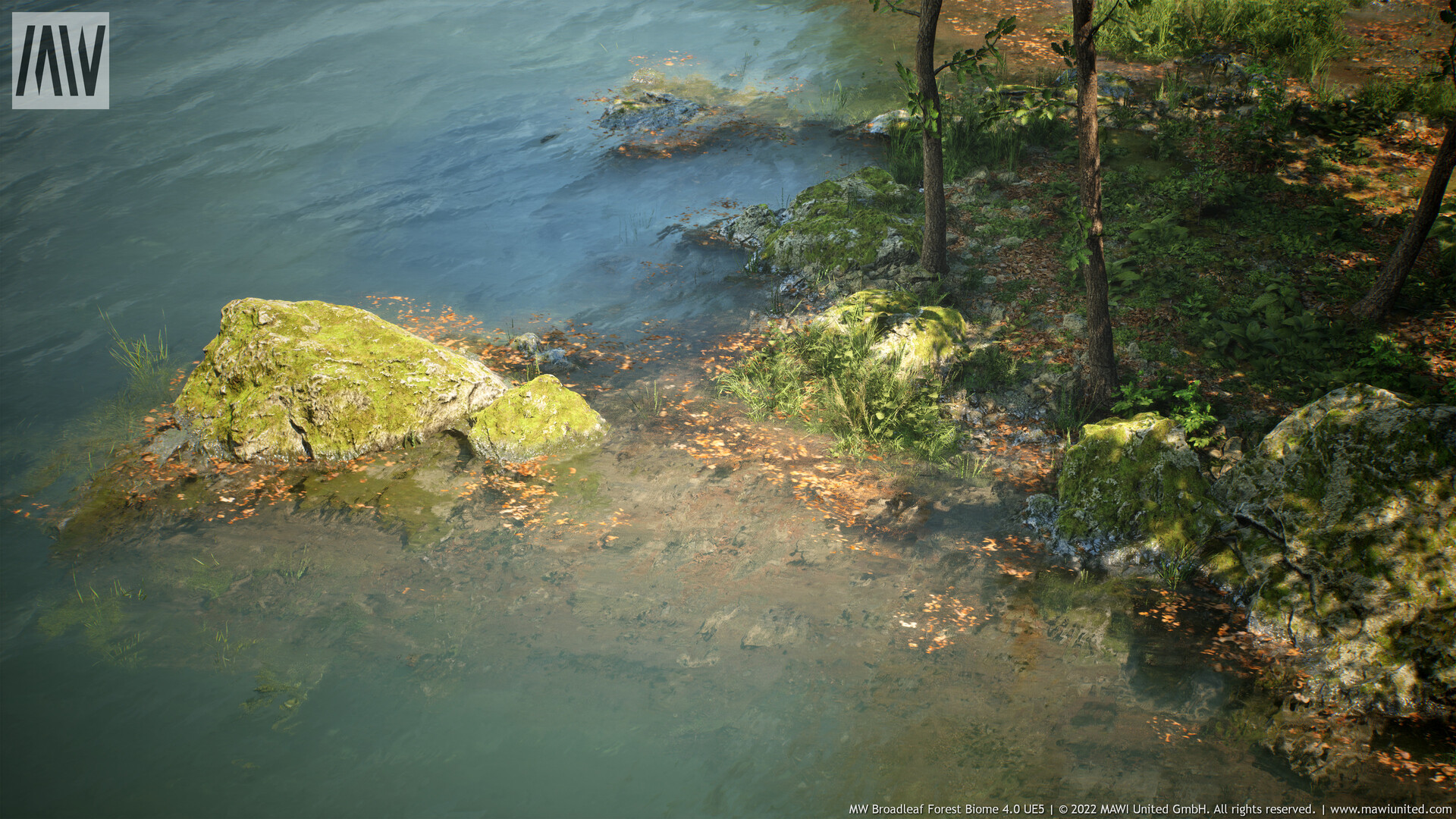 MAWI United - UE5 Broadleaf Forest V4 Runtime Demo