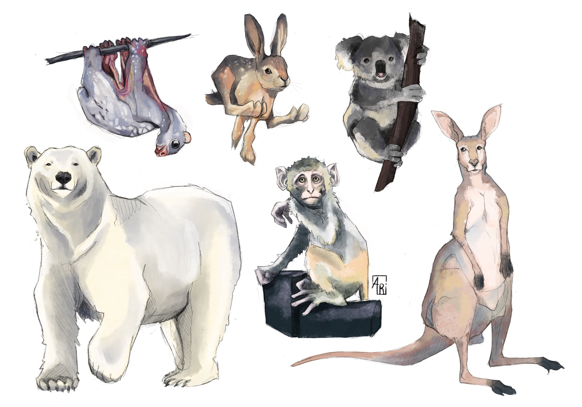 Ariadna Fragiel - Animal Sketches