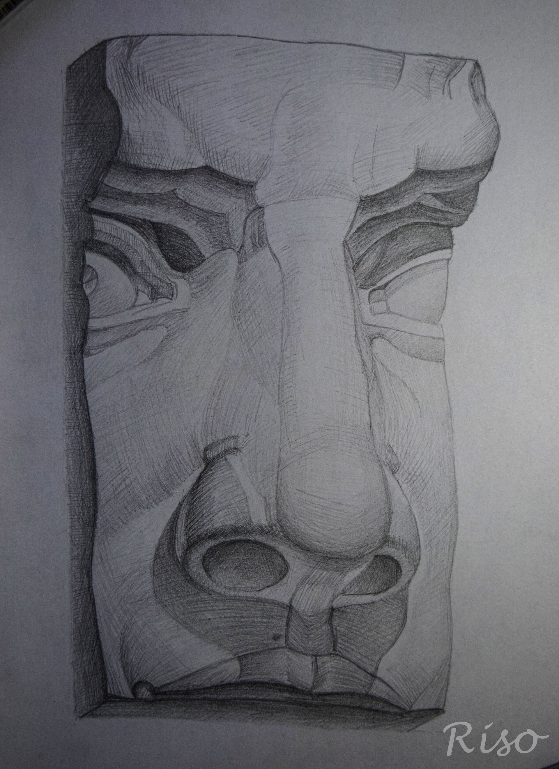 ArtStation - Anatomy of the face