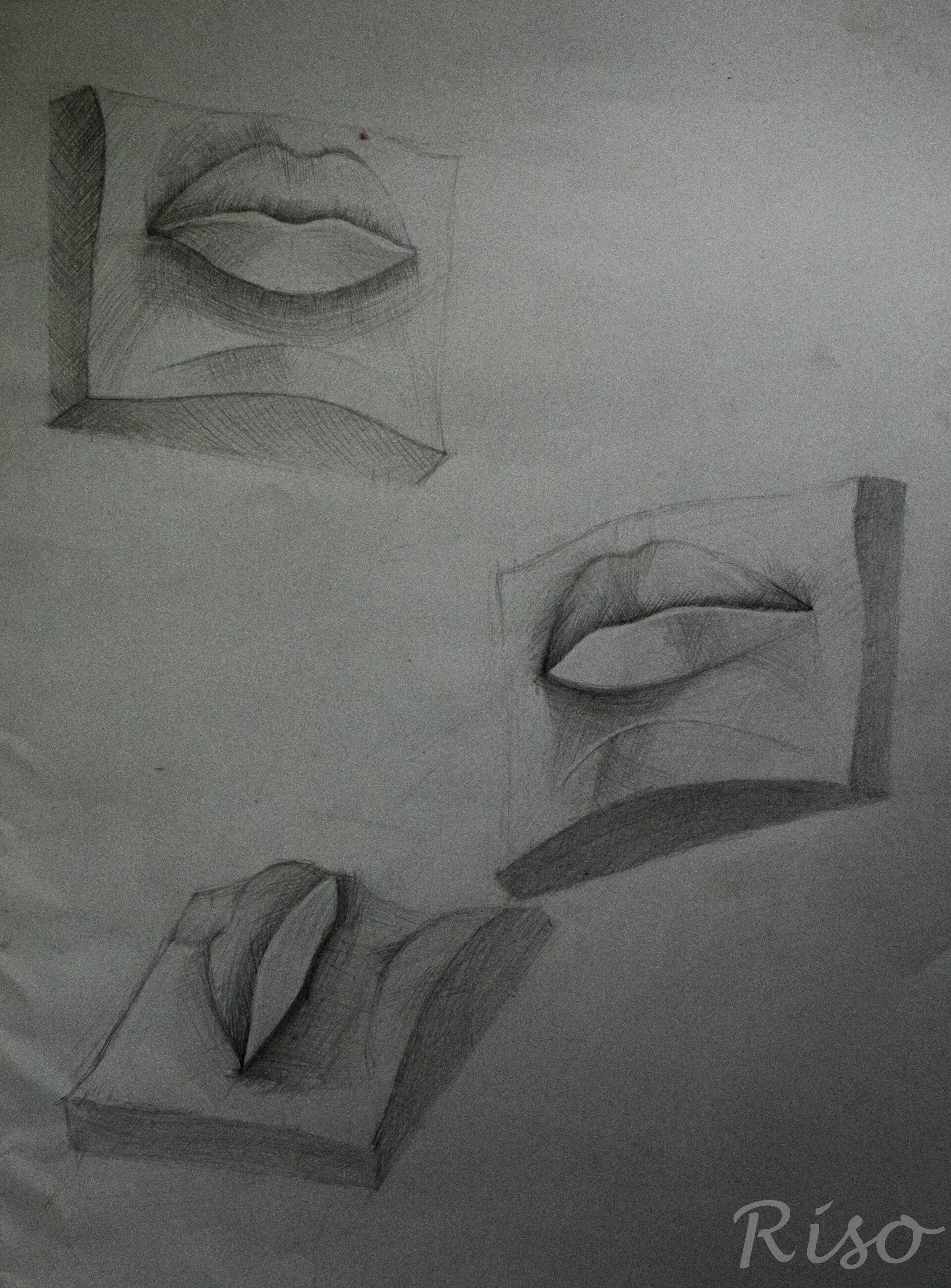 ArtStation - lip anatomy