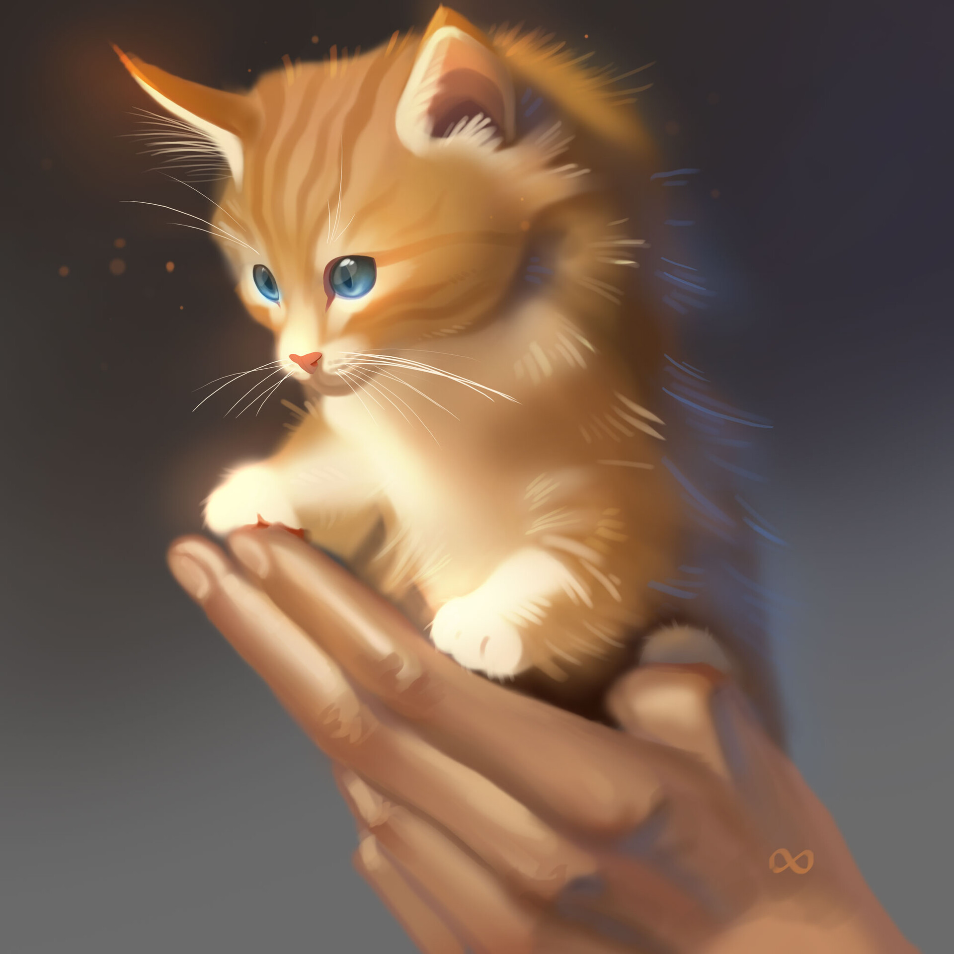 ArtStation - Cat studies