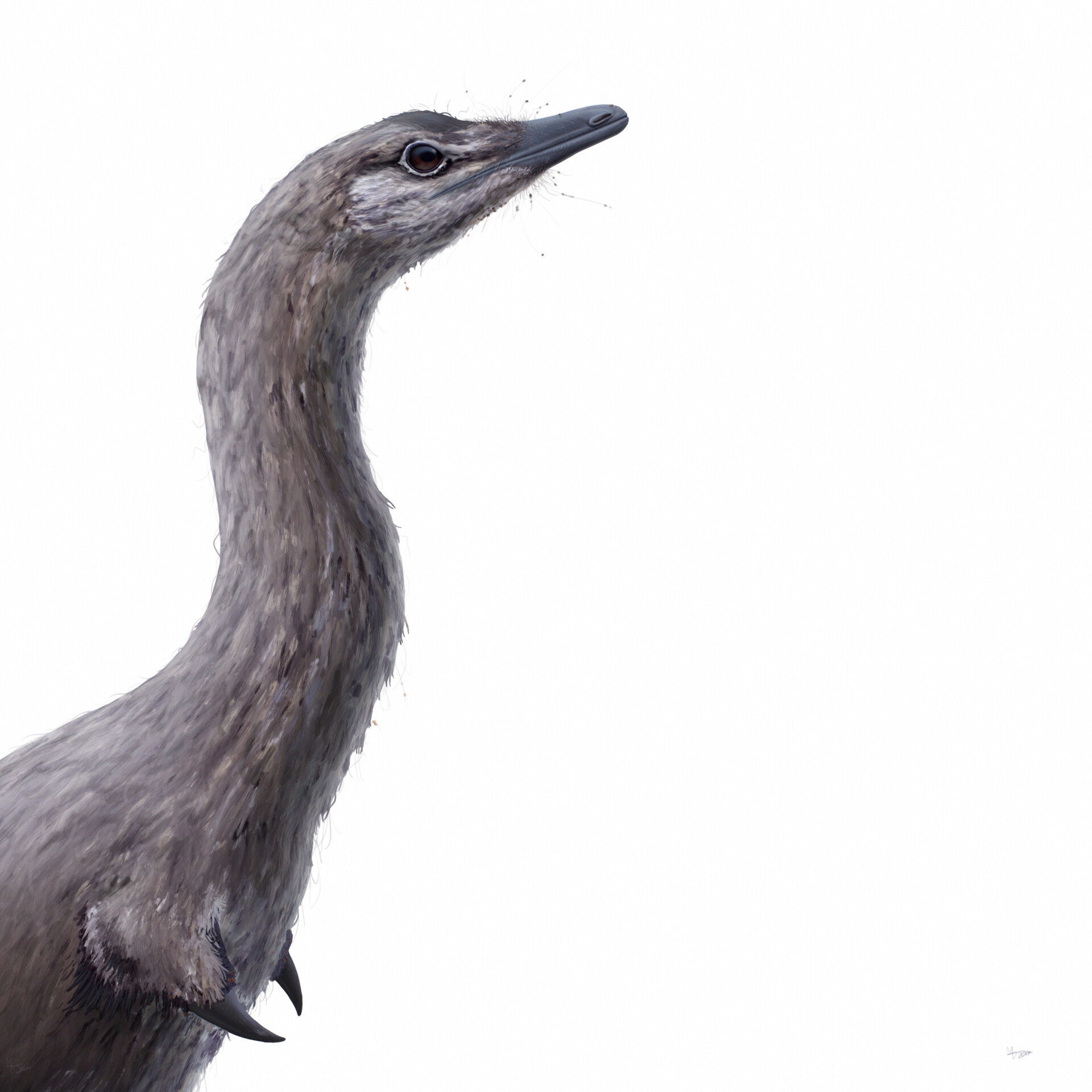 ArtStation - Linhenykus