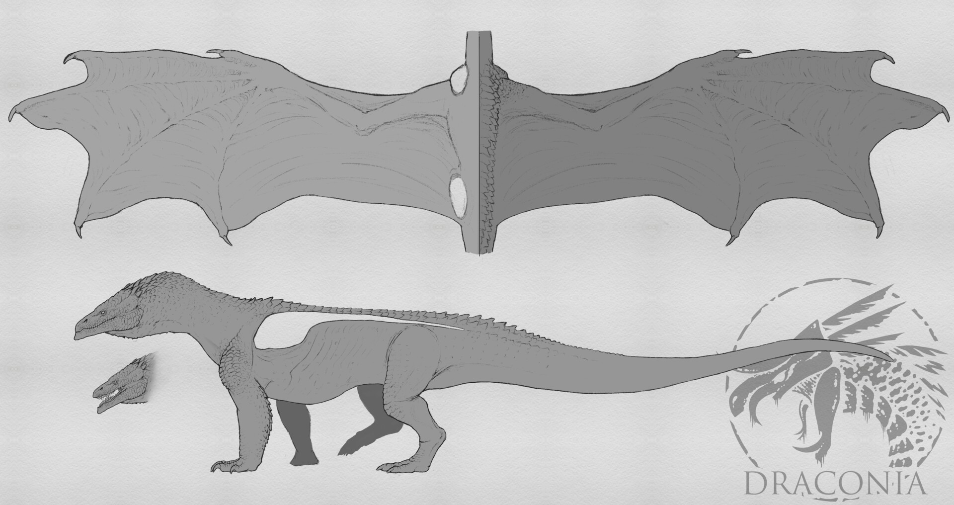 ArtStation - European dragon concept art