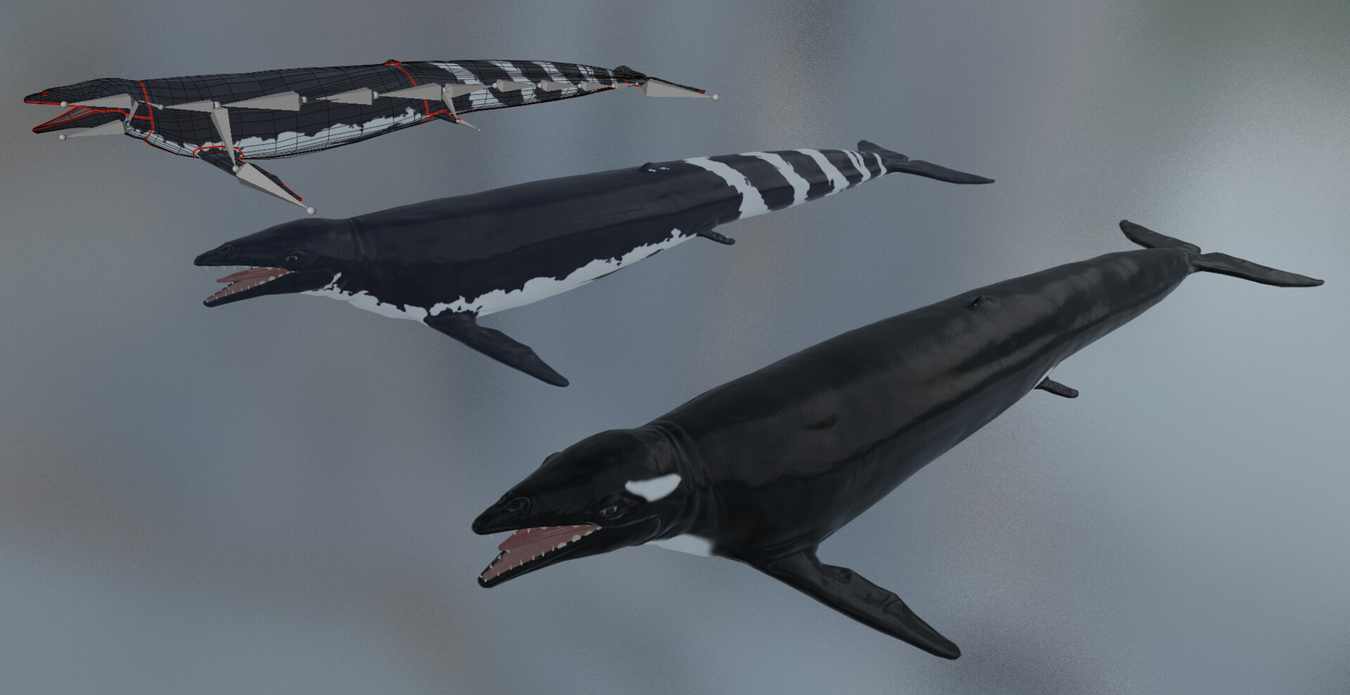 Basilosaurus Evolution