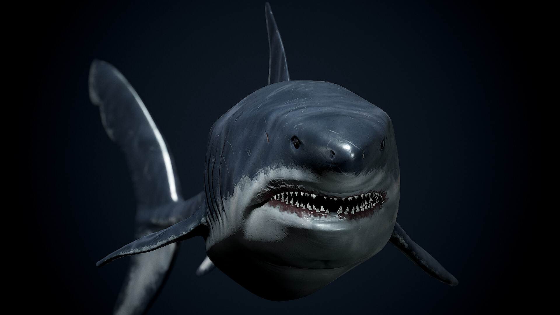 ArtStation - Sharky