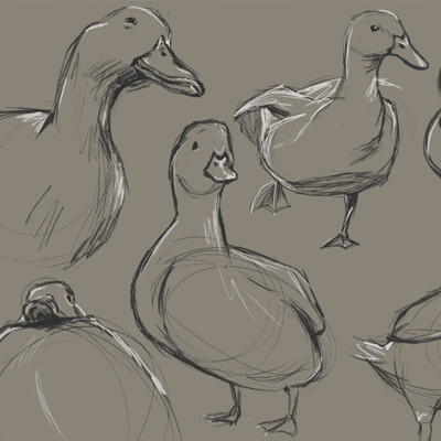 Ida Gade Thorenfeldt