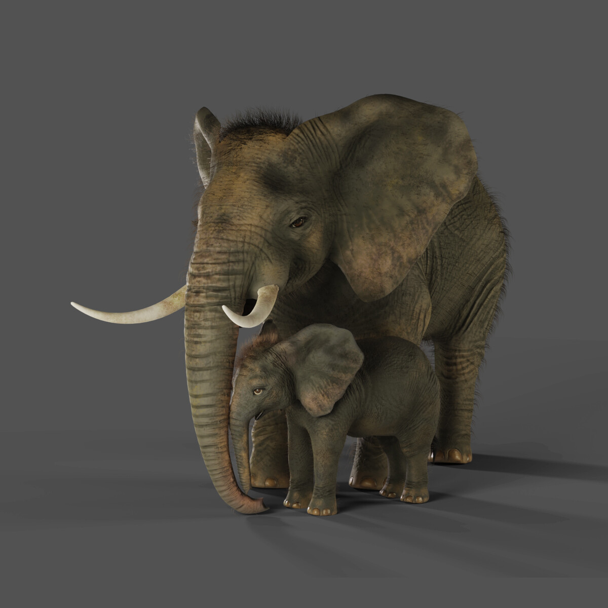 3d animal factory - Fur Elephant and Baby Elephant Rigged in Blender