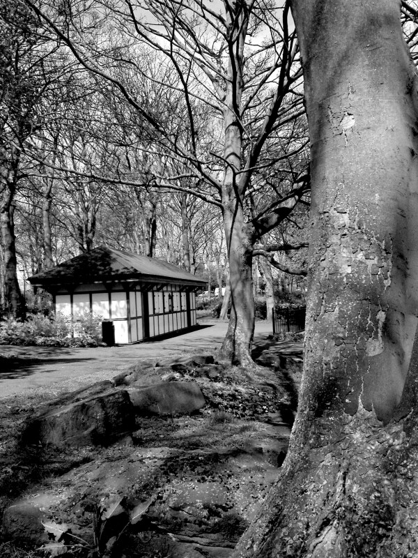 ArtStation - digital black and white photography