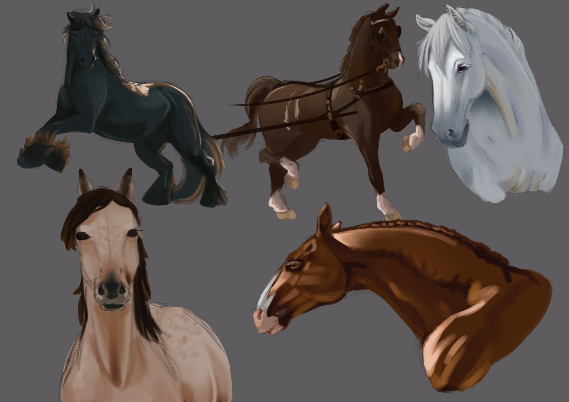ArtStation - Horse study #3