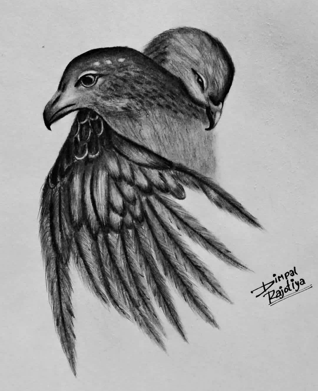 how to draw a love bird