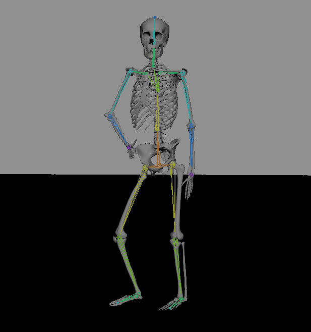 Aubrey Northam - Motion Capture Display Skeleton