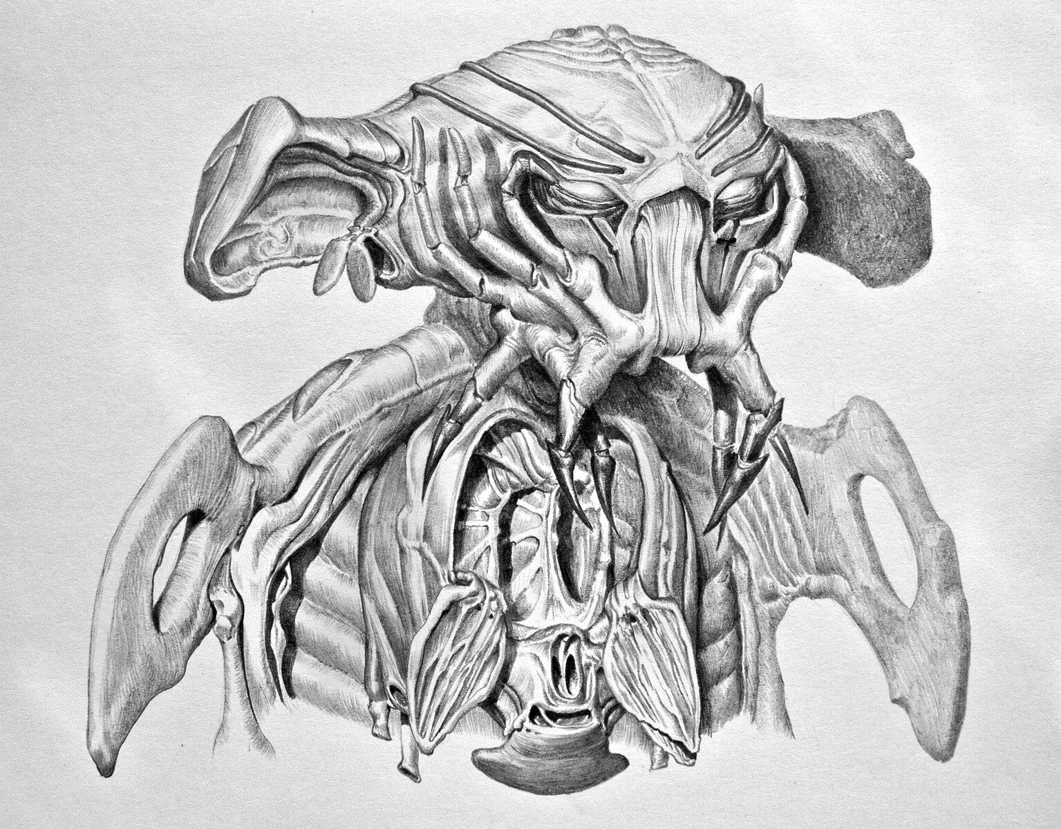 ArtStation - Alien Anatomy
