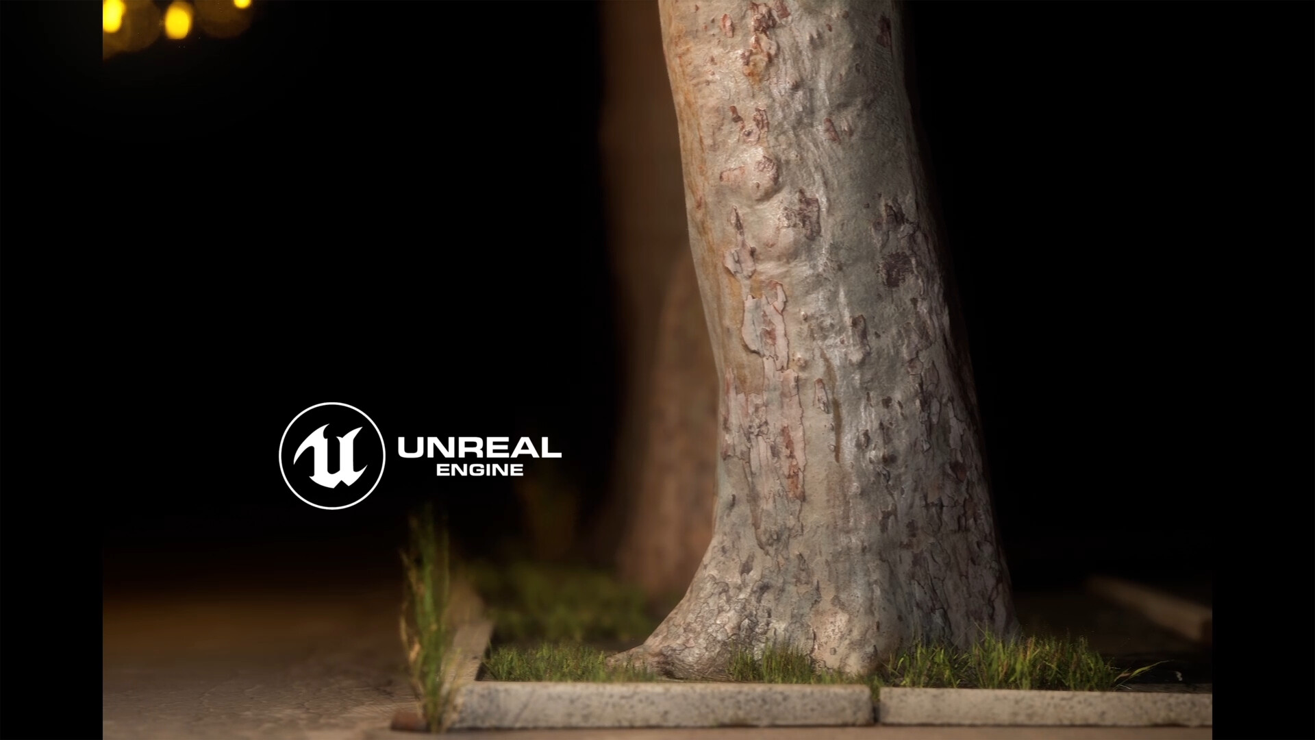 ArtStation - Sycamore tree Asset Rendered in Unreal
