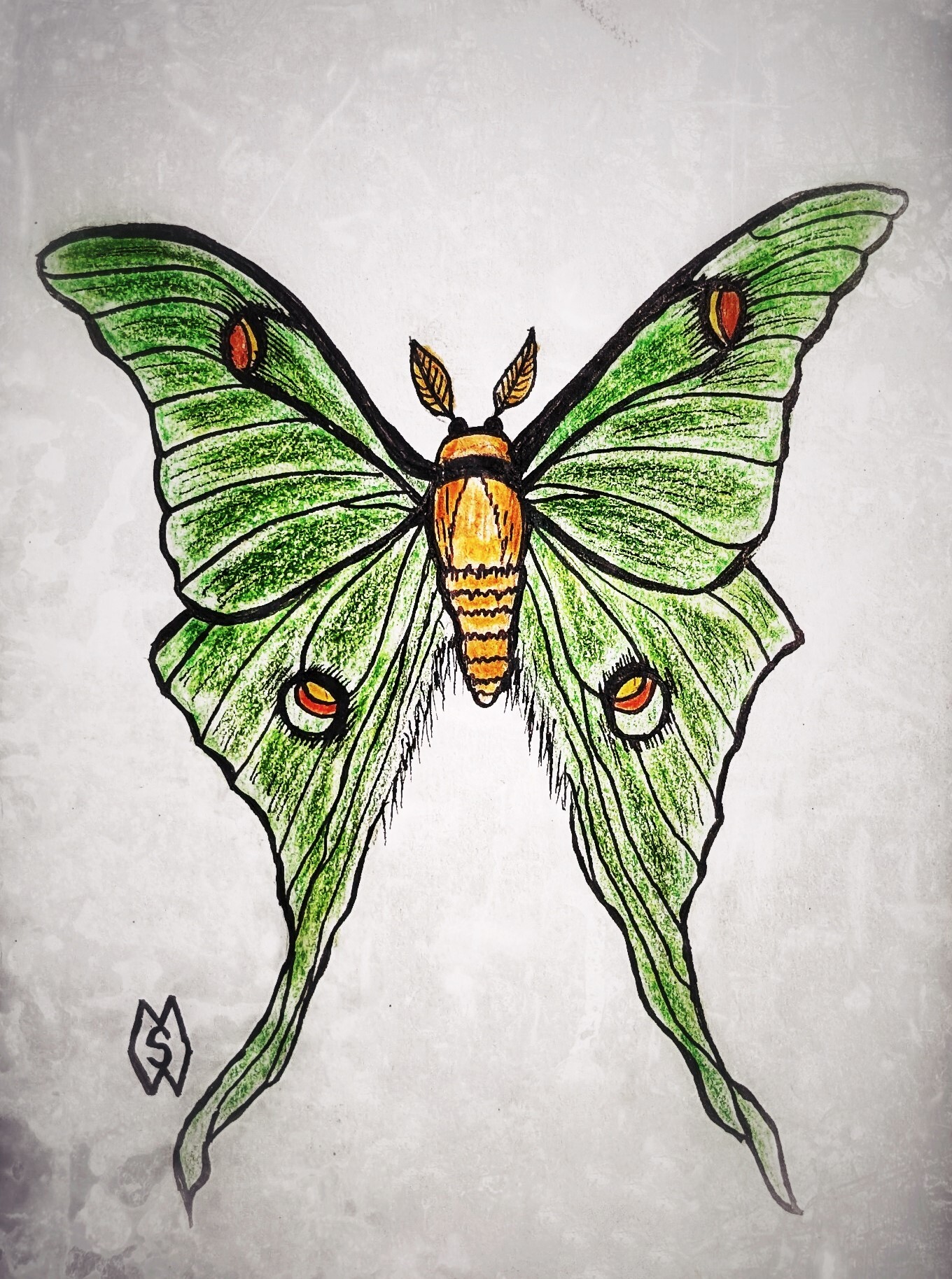 ArtStation - Luna moth