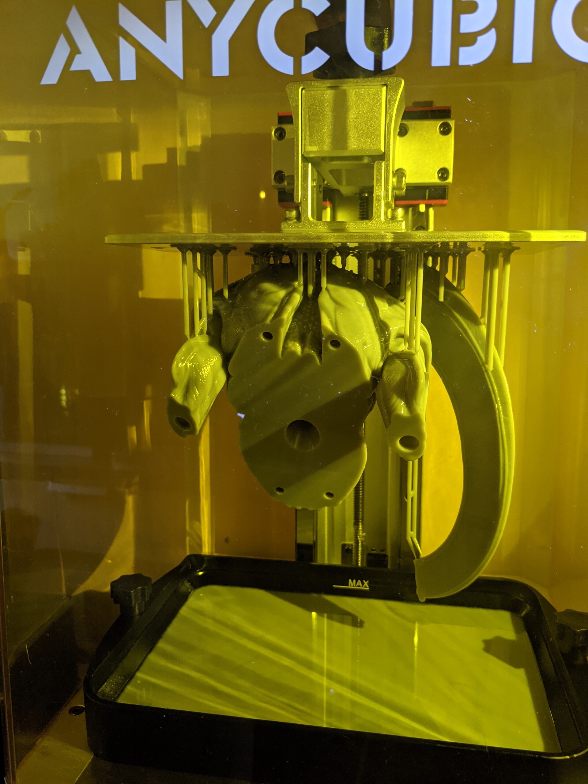 Peter König - Kontemplator