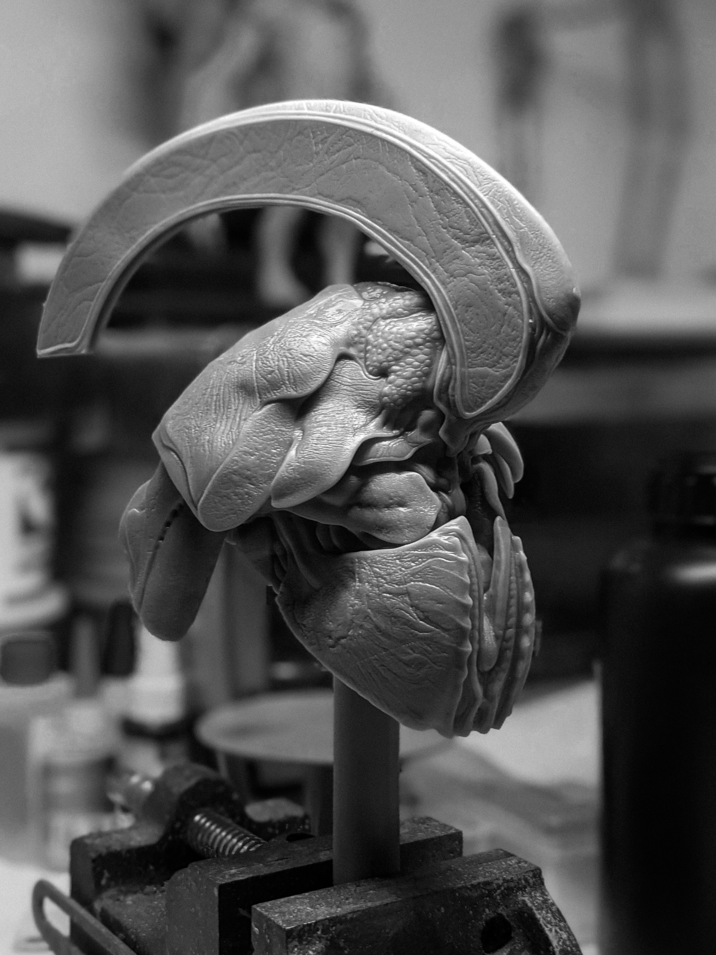 Peter König - Kontemplator