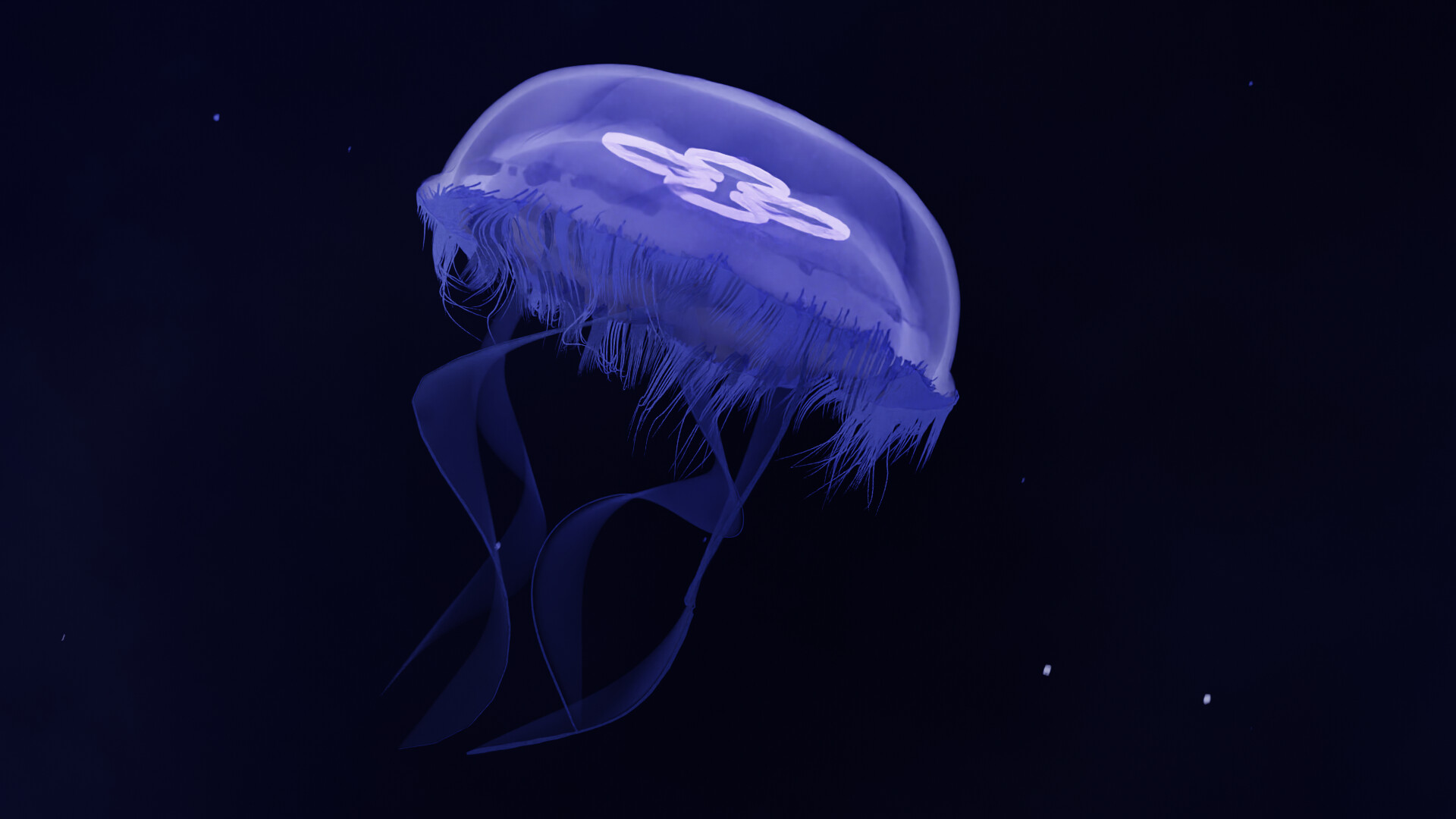 ArtStation - Moon Jellyfish