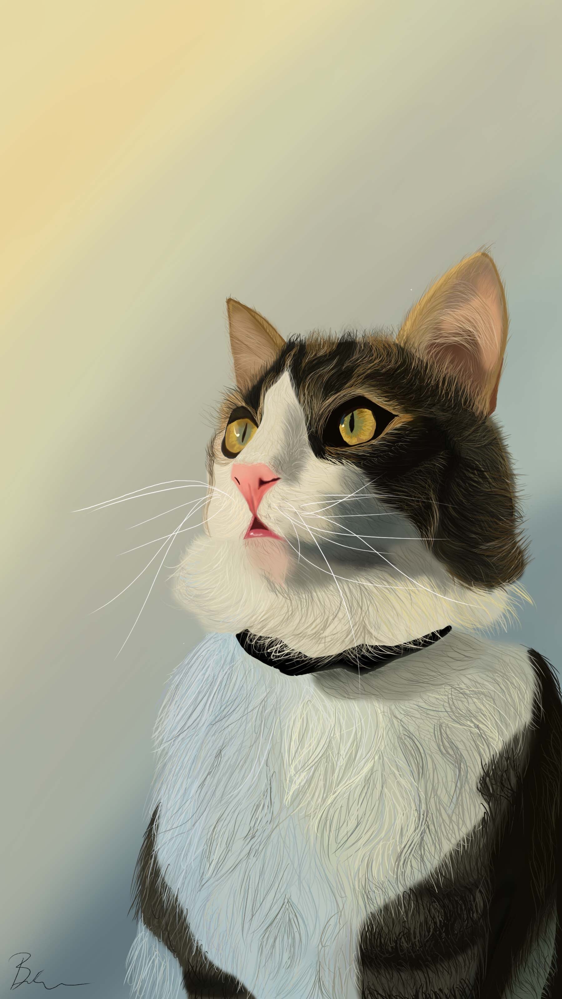 ArtStation - fluffy cat