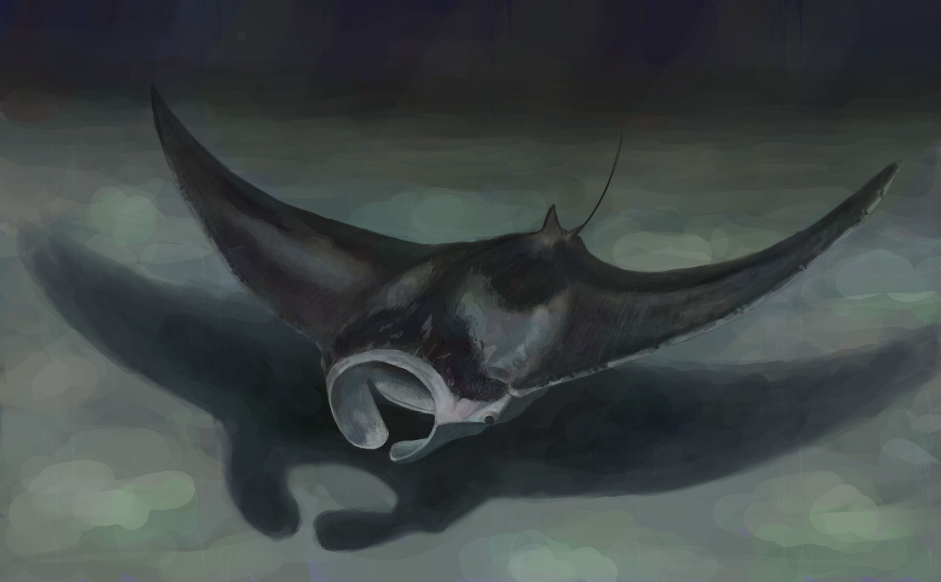 ArtStation - Manta ray