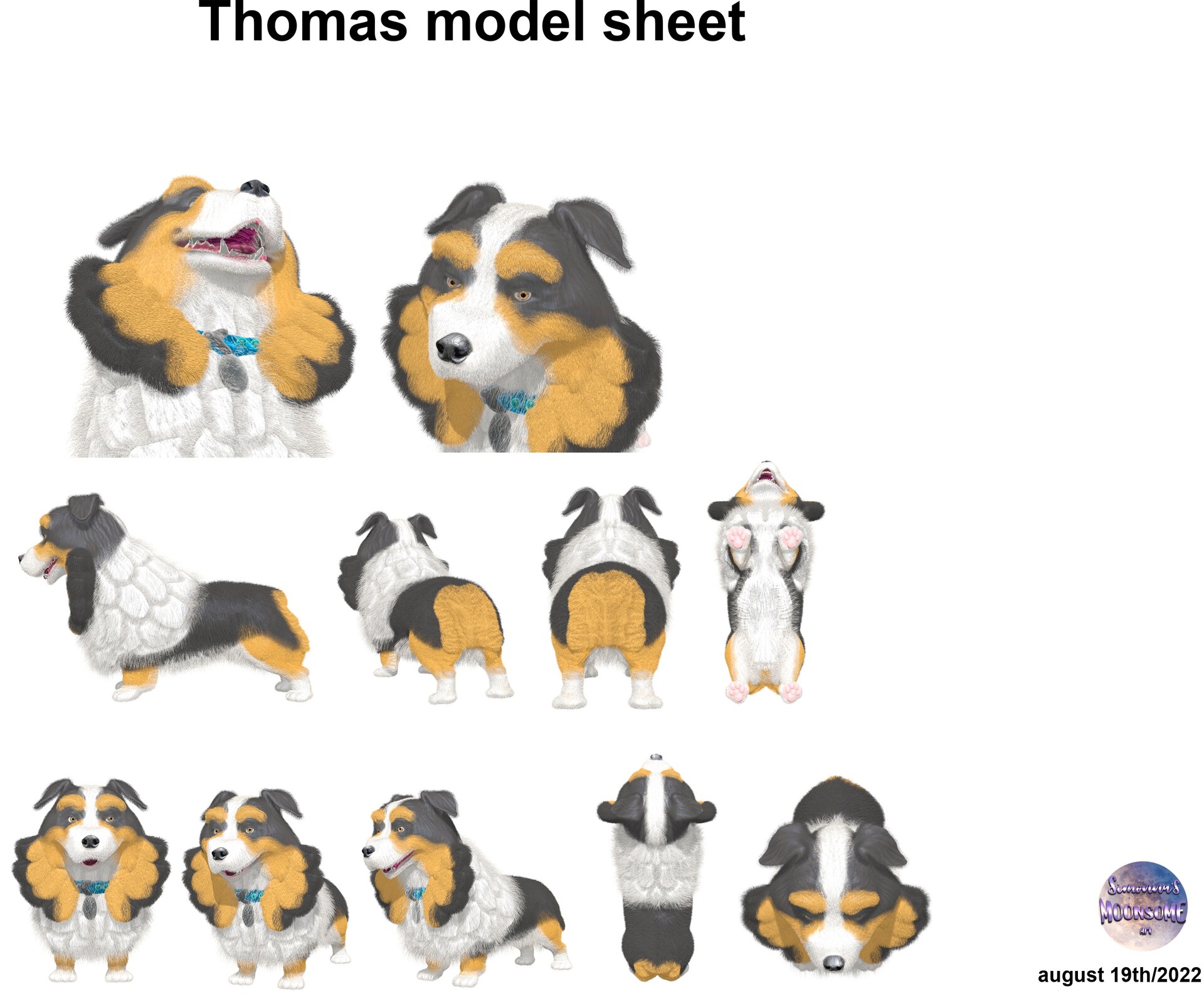 ArtStation - Thomas model sheet