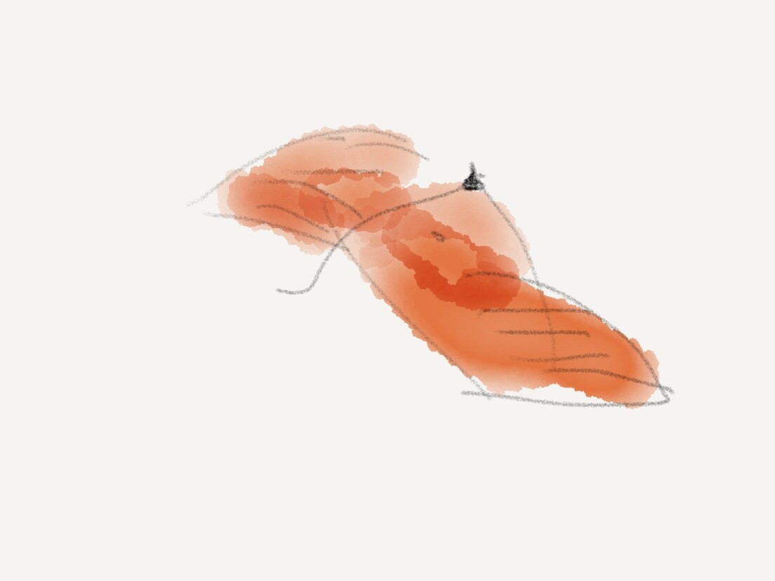 ArtStation - Watercolor abstract cardinal. Enjoy