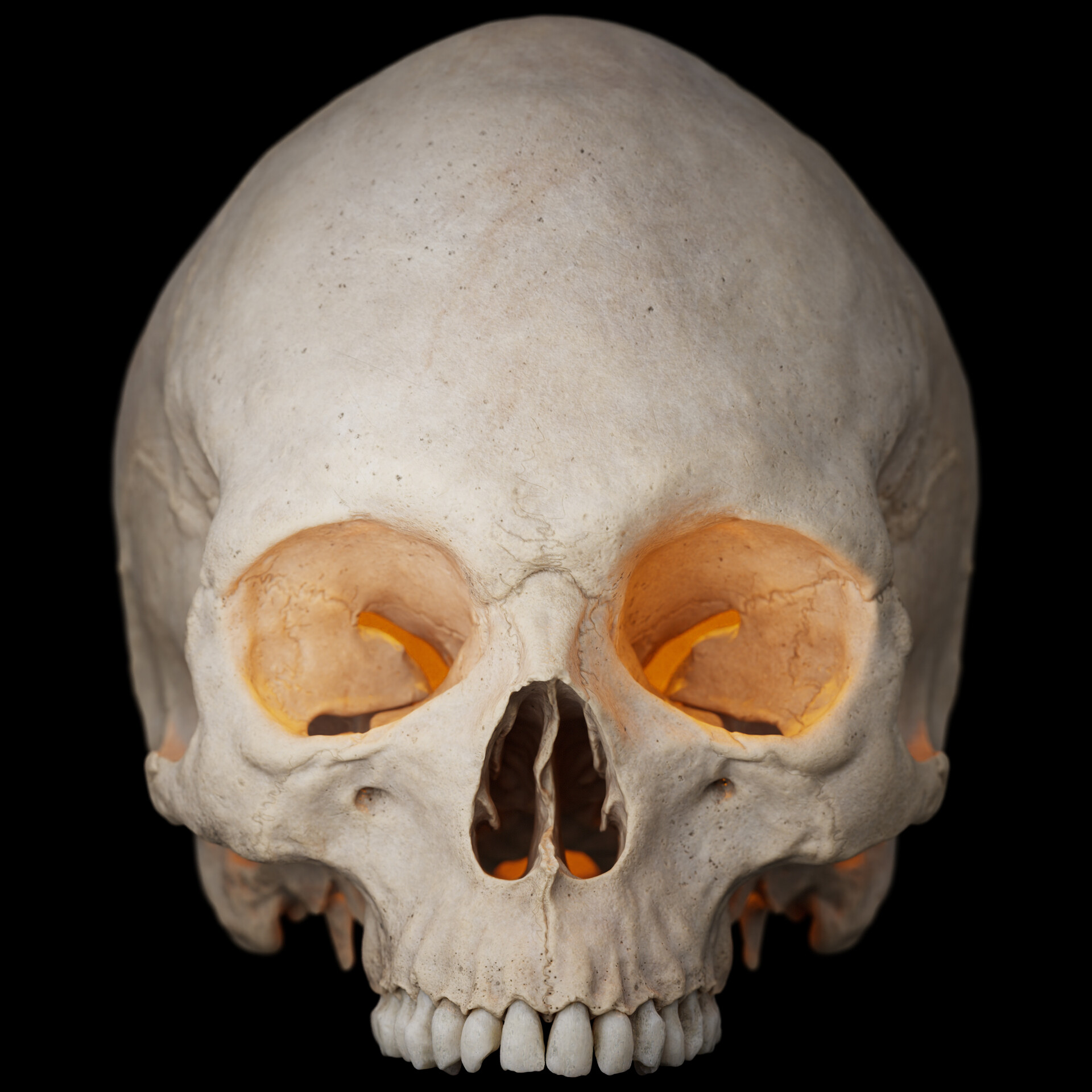 Ryan Blake - Skull - Realtime Study