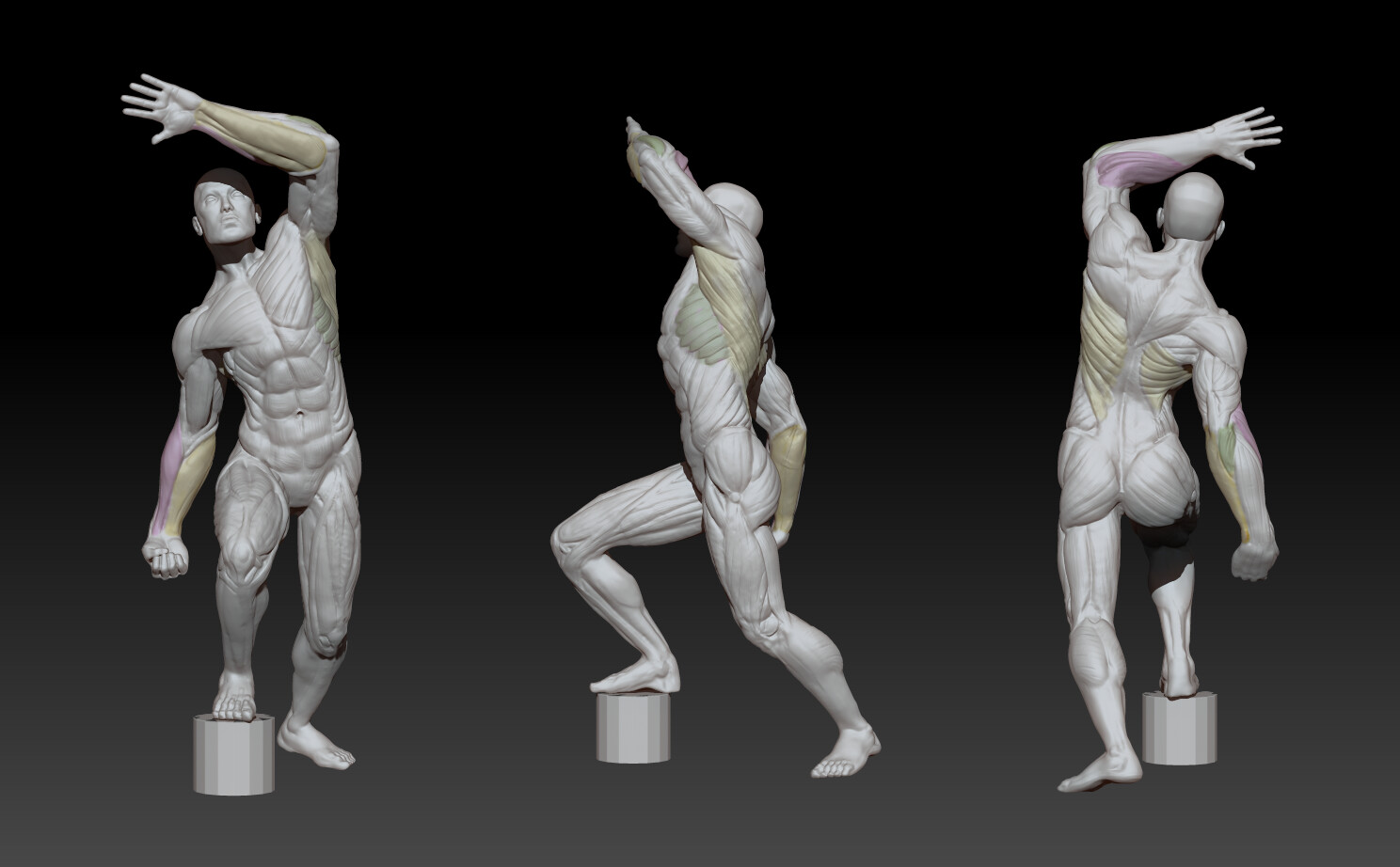 ArtStation - Anatomy Practice