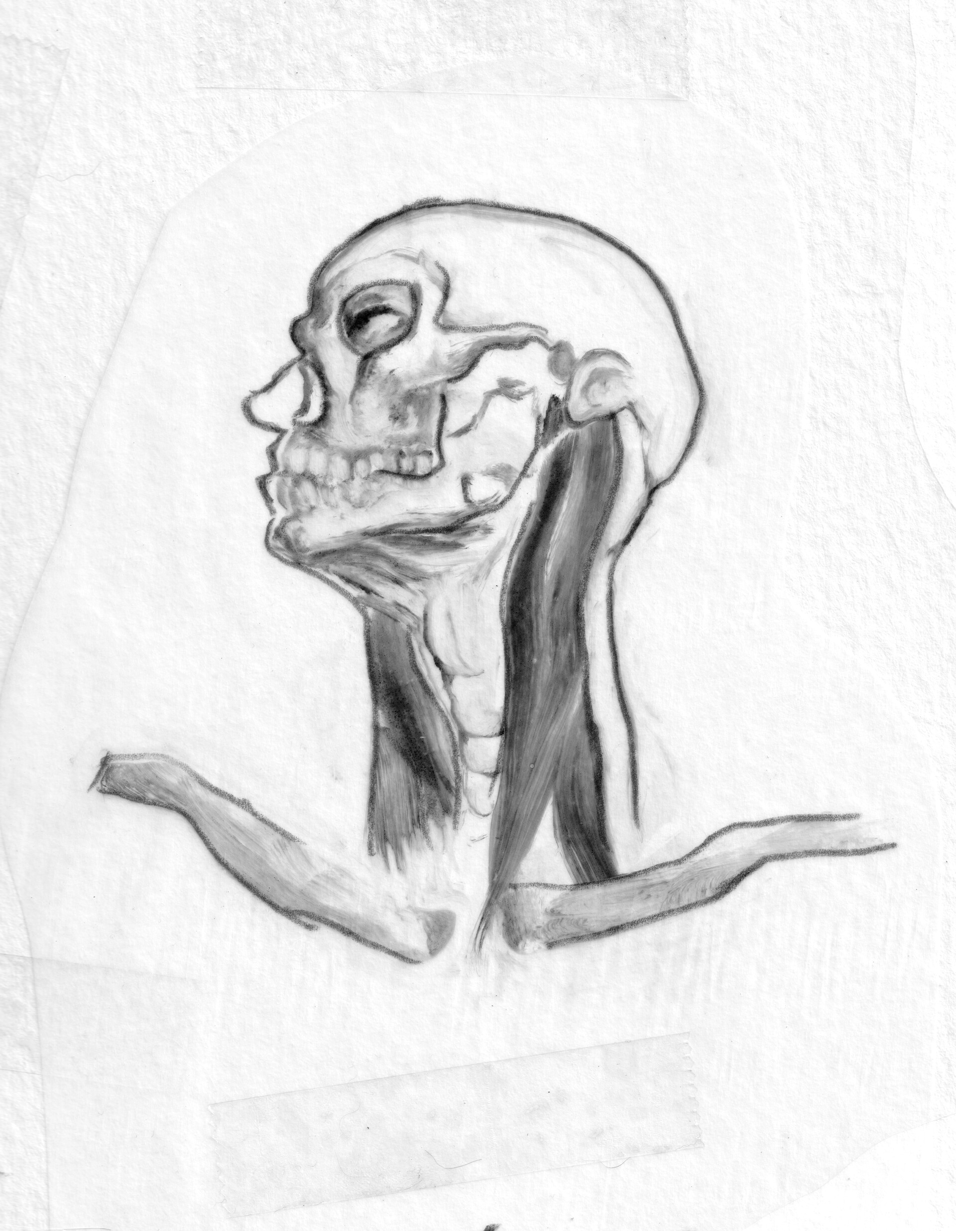 ArtStation - Skull Face - Experimental Ink